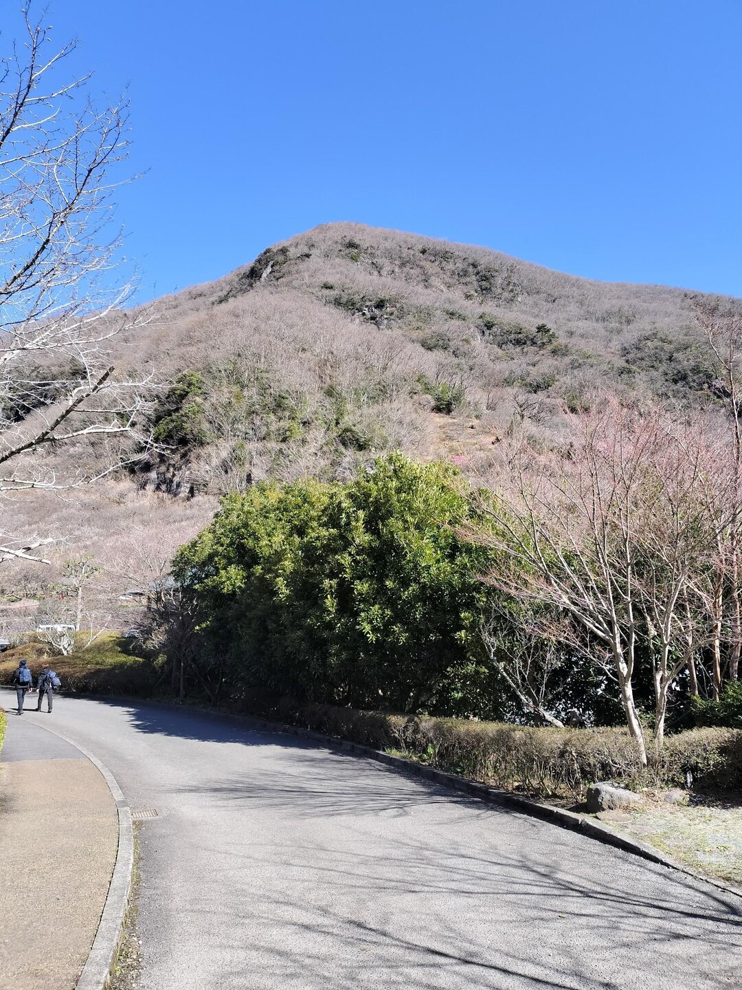 幕山 / Ito.Mさんの箱根山・神山の活動データ | YAMAP / ヤマップ