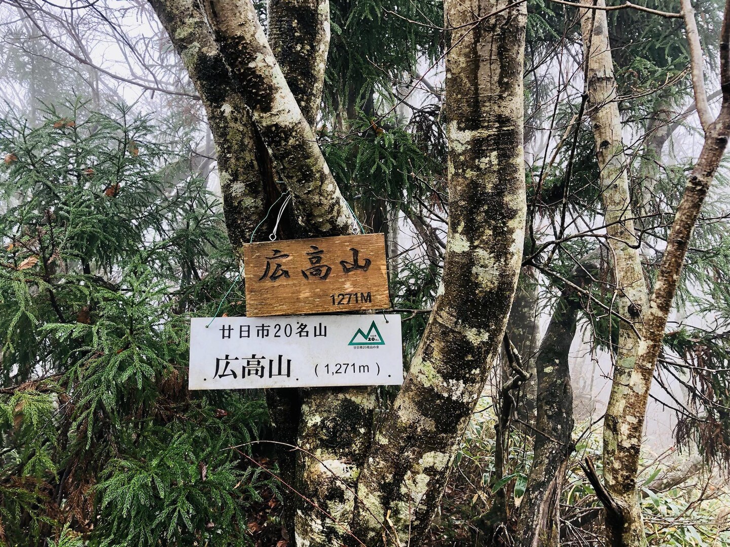 広高山・雨杉・吉和冠山 / Coo・kie（くぅ🗝️）さんの吉和冠山（安芸冠山）・広高山・寂地山の活動日記 | YAMAP / ヤマップ