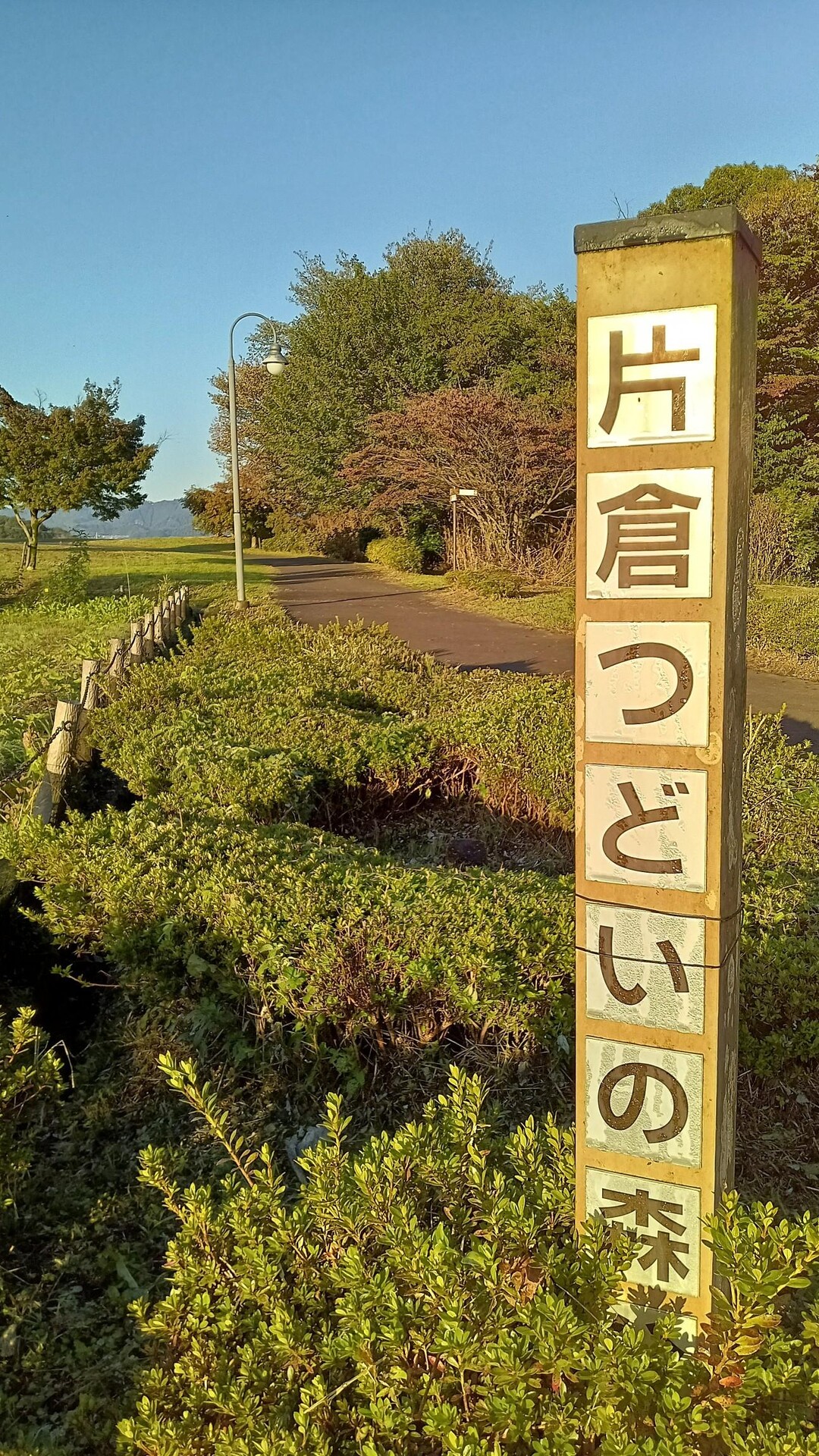 片倉城跡(つつじ山)〜つどいの森〜大塚山 / kumaさんの七国山の活動データ | YAMAP / ヤマップ