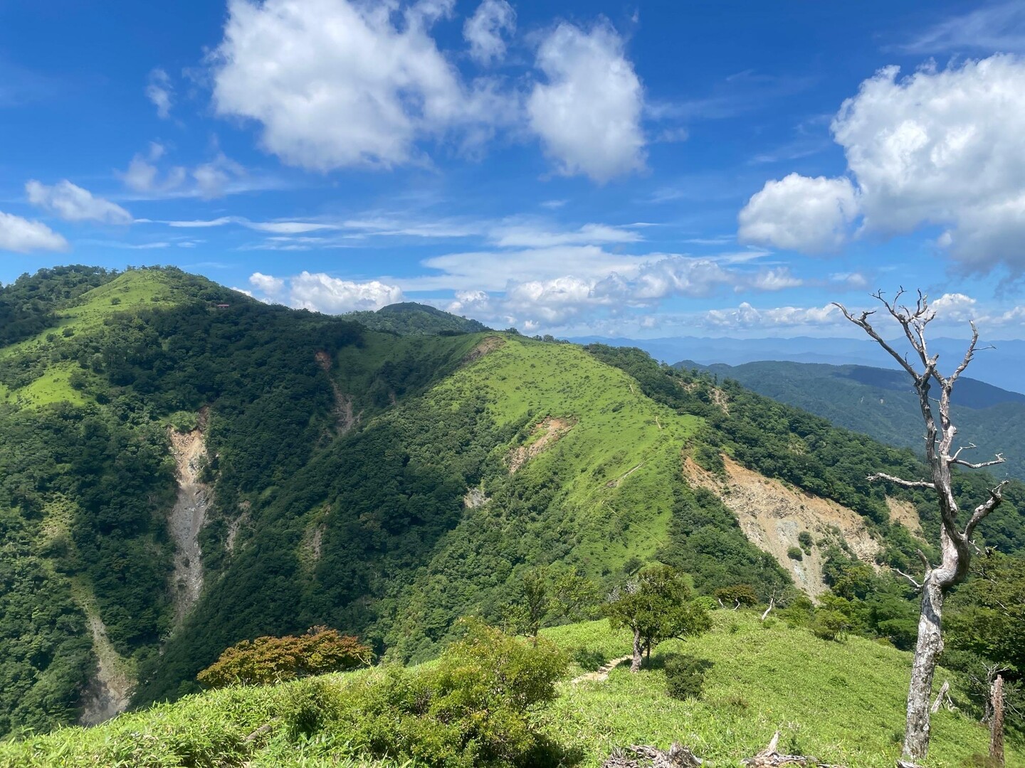 大倉バス停↔︎蛭ヶ岳ピストン / bavi papaさんの塔ノ岳・丹沢山・蛭ヶ岳の活動データ | YAMAP / ヤマップ