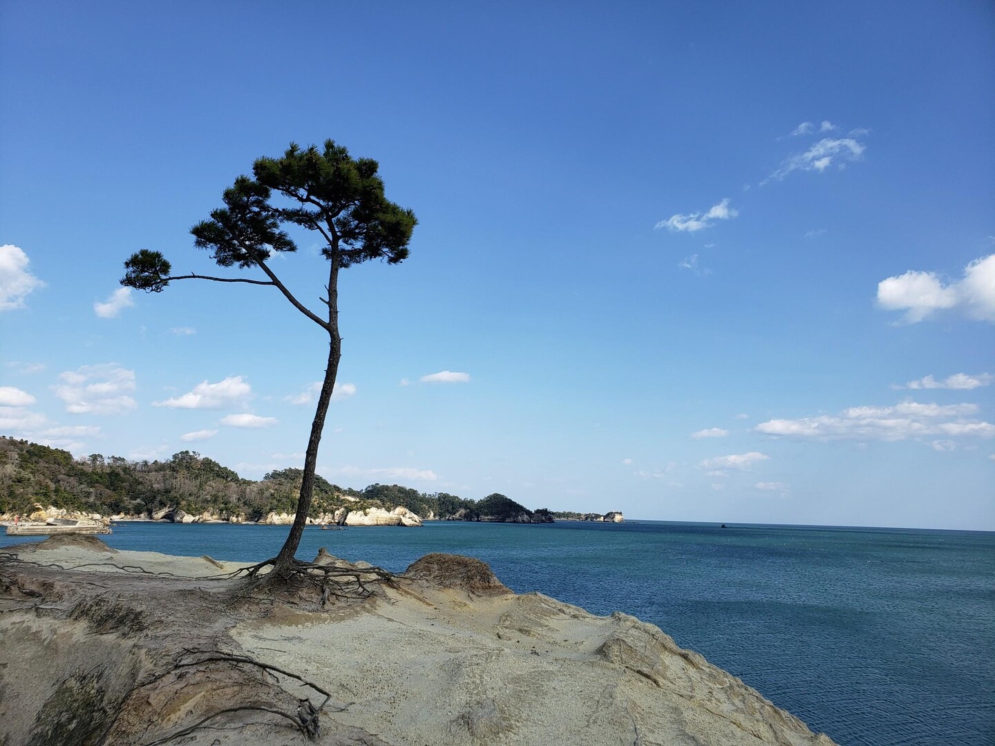 みちのく潮風トレイル·宮城オルレ·奥松島·大高森 / iSleepさんの宮城オルレ 奥松島コースの活動データ | YAMAP / ヤマップ