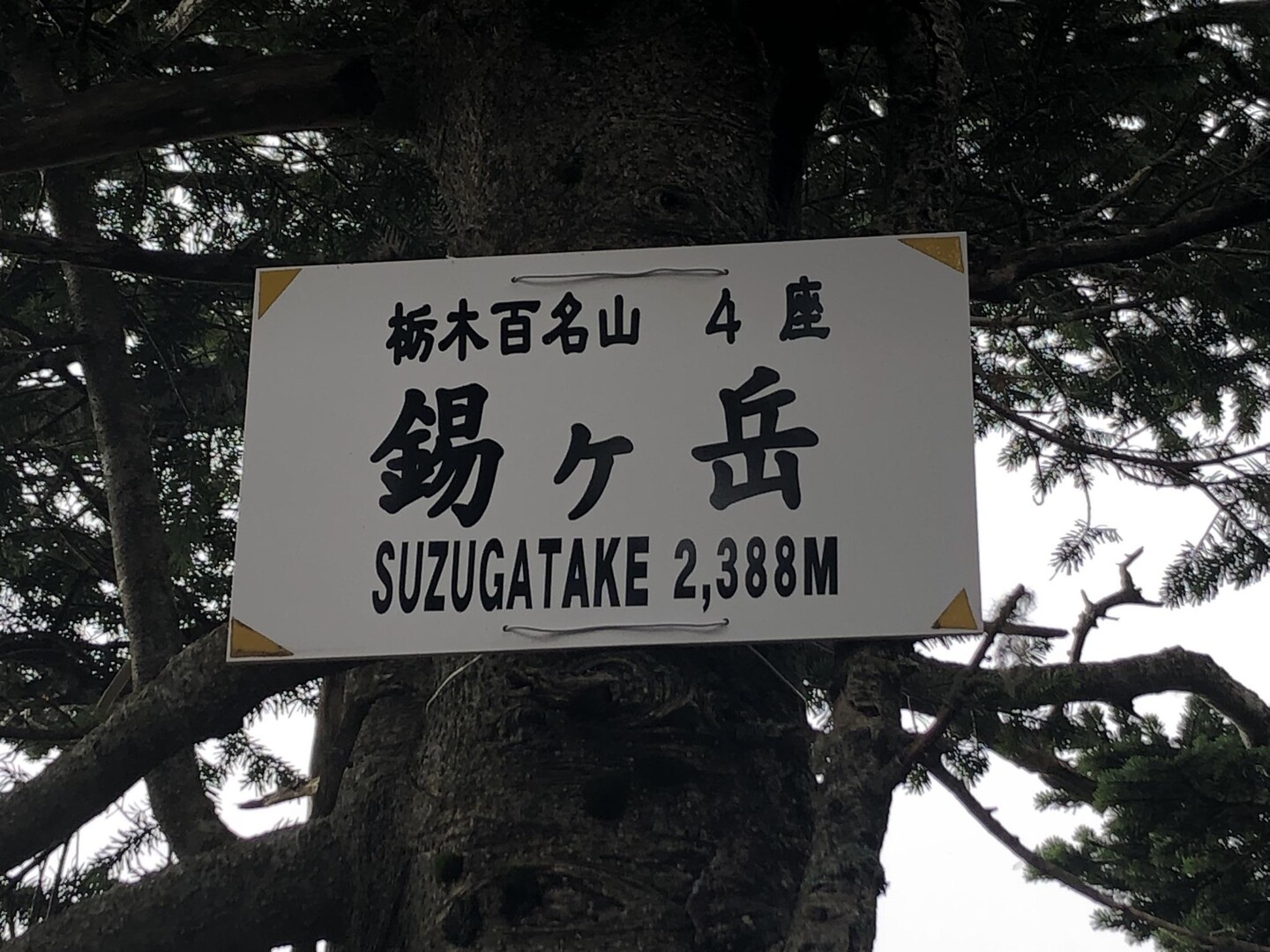 錫が岳 金精峠から往復 24.08.09... / fpさんのモーメント | YAMAP / ヤマップ