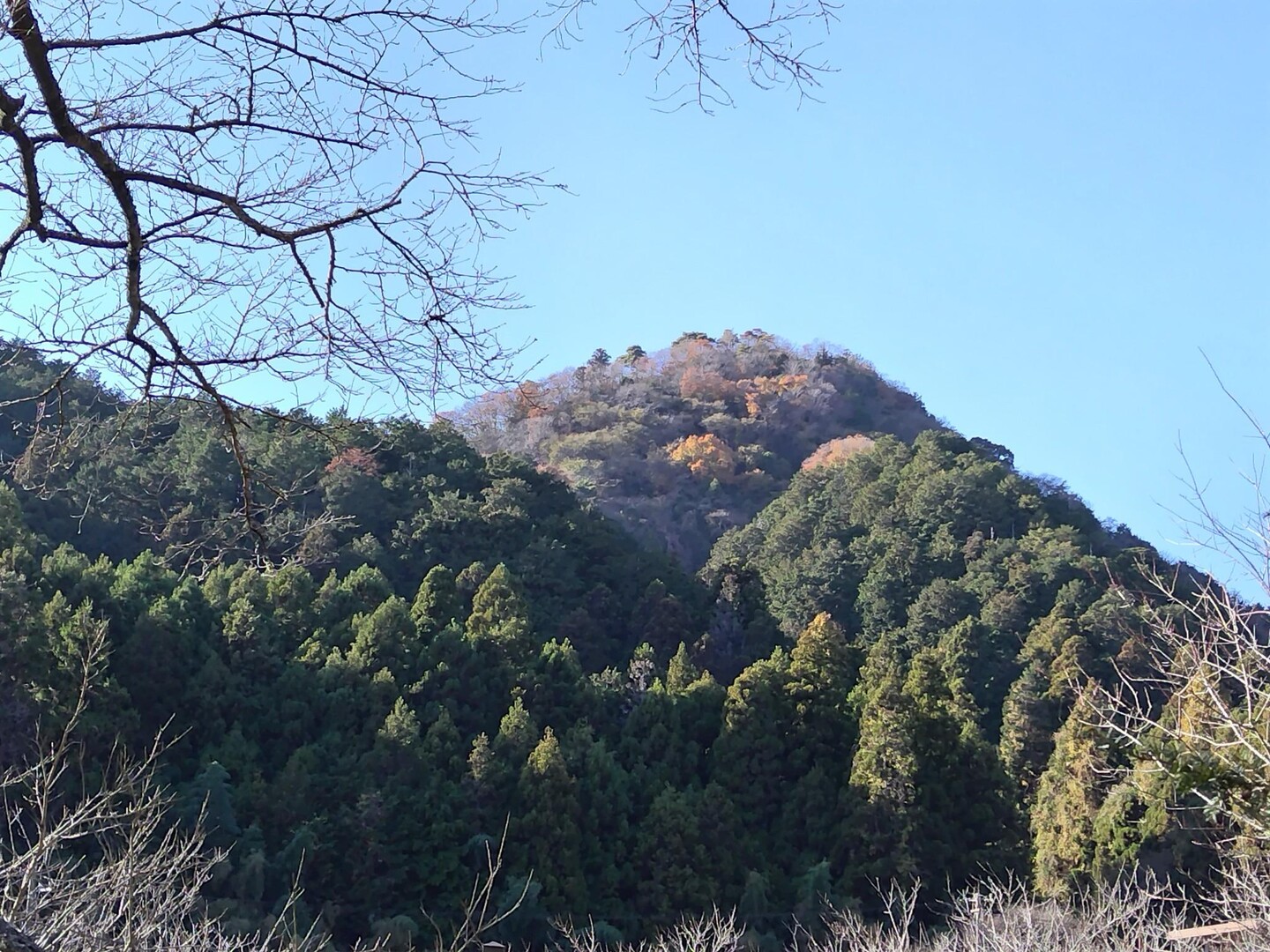曙山·四ッ峰･大平田 / tomo 99さんの日立アルプストレイル・神峰山（神峯山）の活動データ | YAMAP / ヤマップ