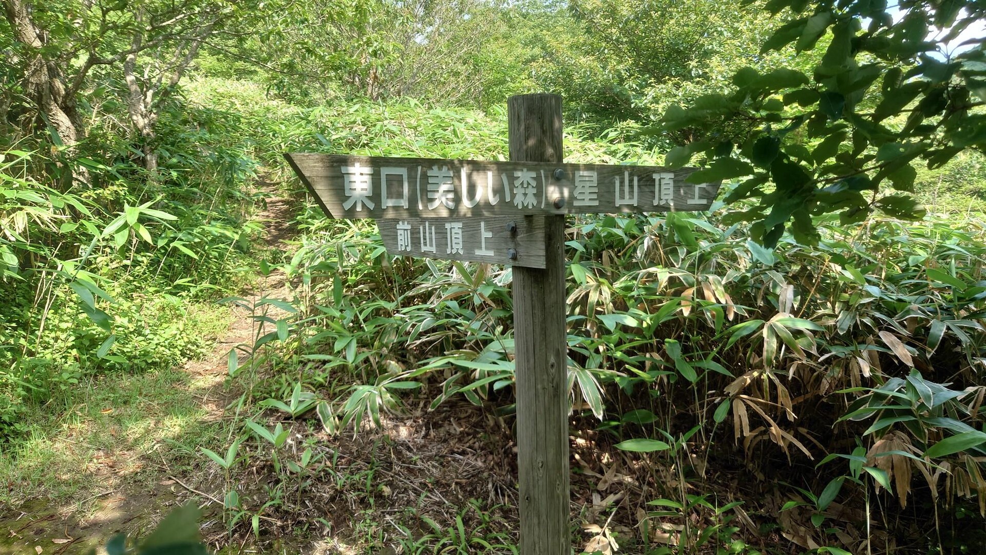 blackmoreさんの投稿したフィールドメモ | YAMAP / ヤマップ