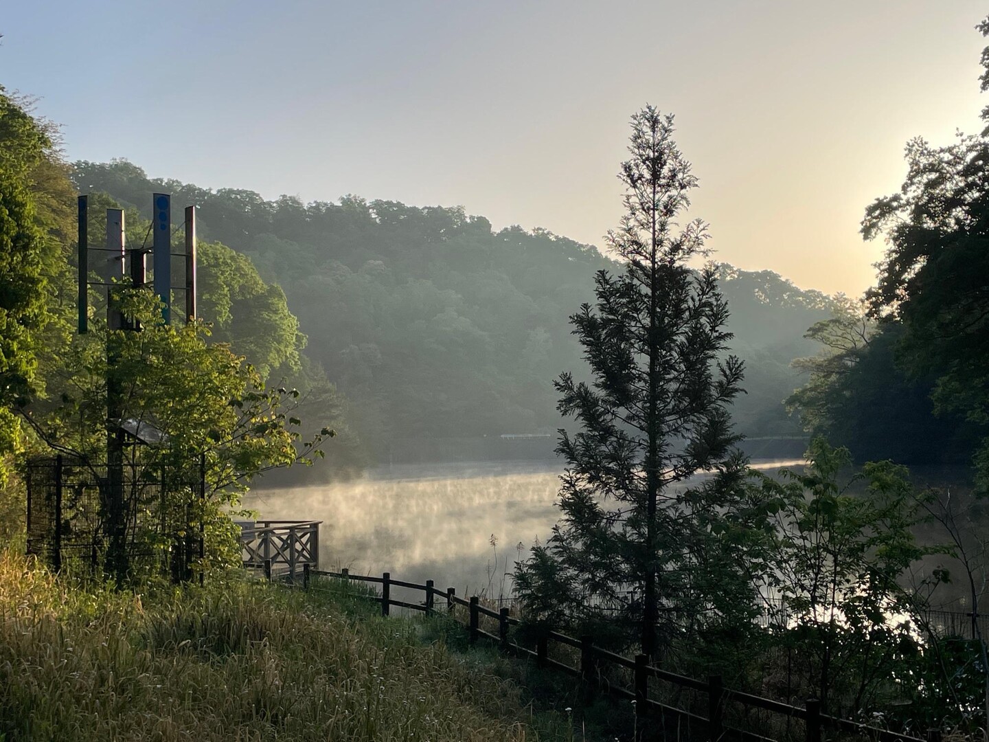 Quarter trail challenge of the ex-BAMBI 100 miles / xmatyoさんの生駒山・神津嶽・大原山の活動データ | YAMAP / ヤマップ