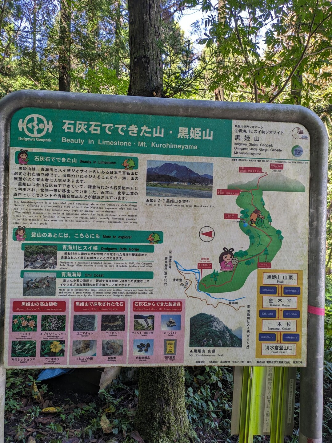 黒姫山（青海黒姫山） / 2525さんの白鳥山・下駒ヶ岳・犬ヶ岳の活動データ | YAMAP / ヤマップ