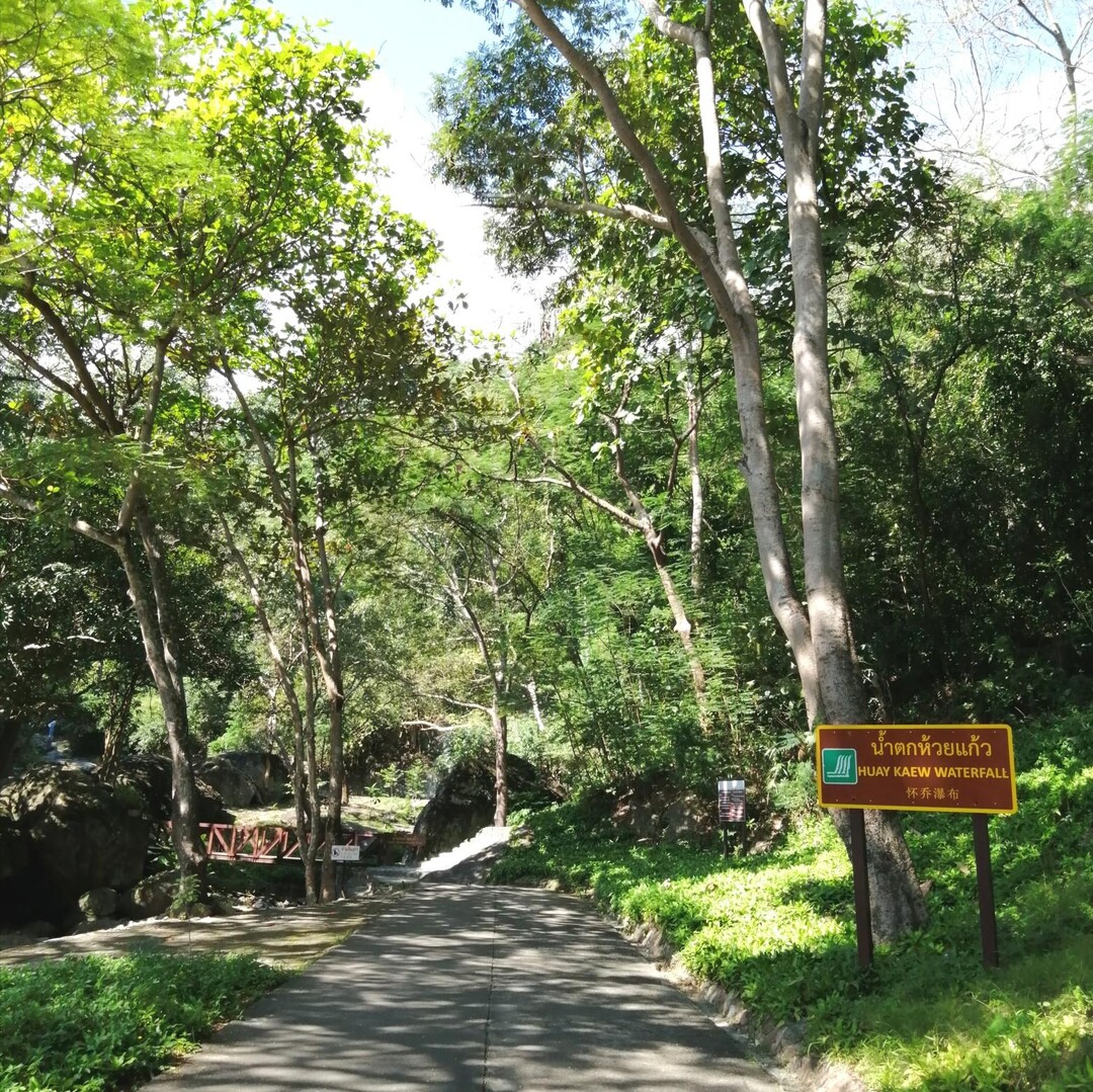 20231110_Huaykeaw Wa... / みほさんのモーメント | YAMAP / ヤマップ