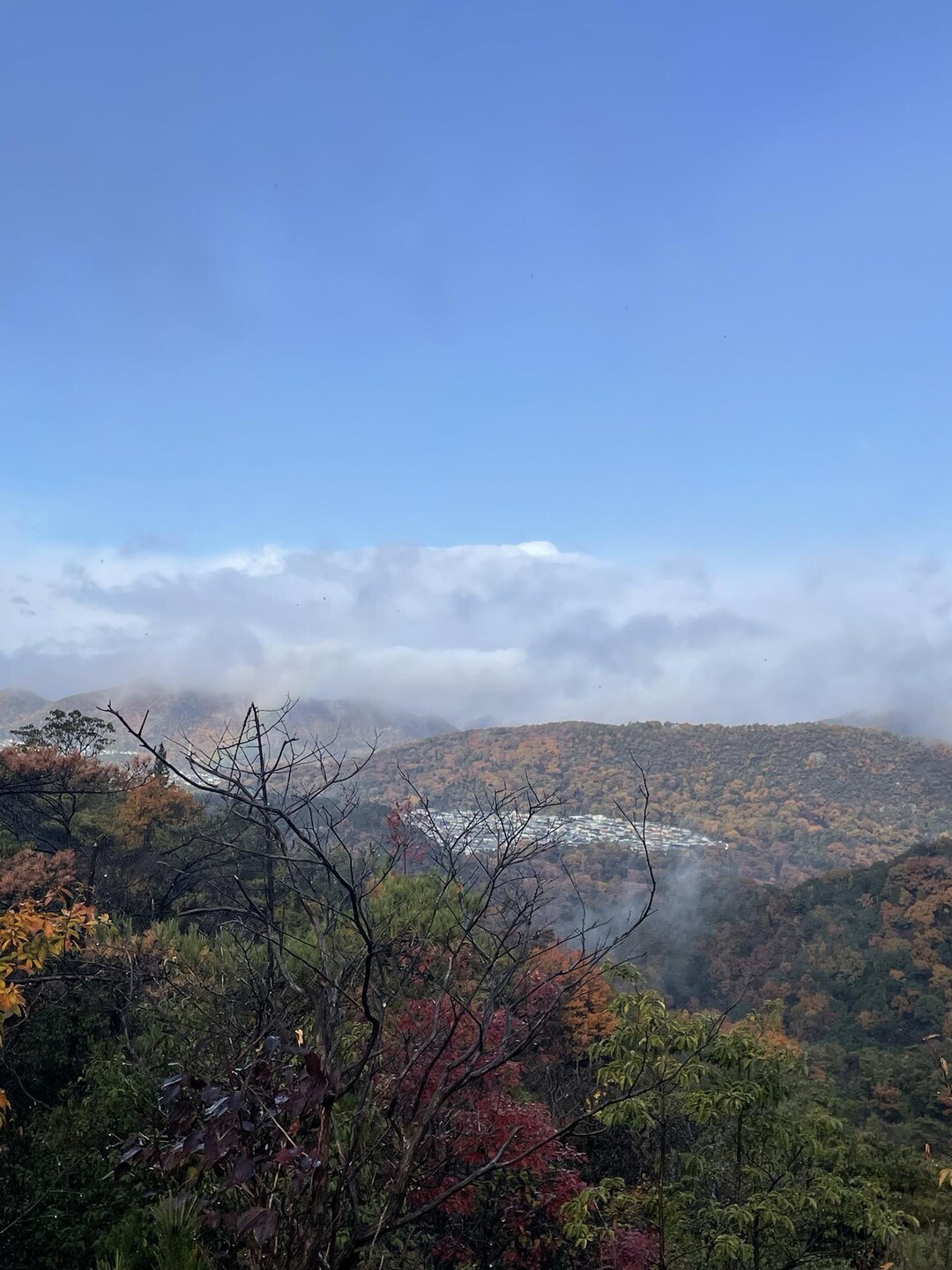 継鹿尾山 / ☆sola☆さんの鳩吹山の活動日記 | YAMAP / ヤマップ