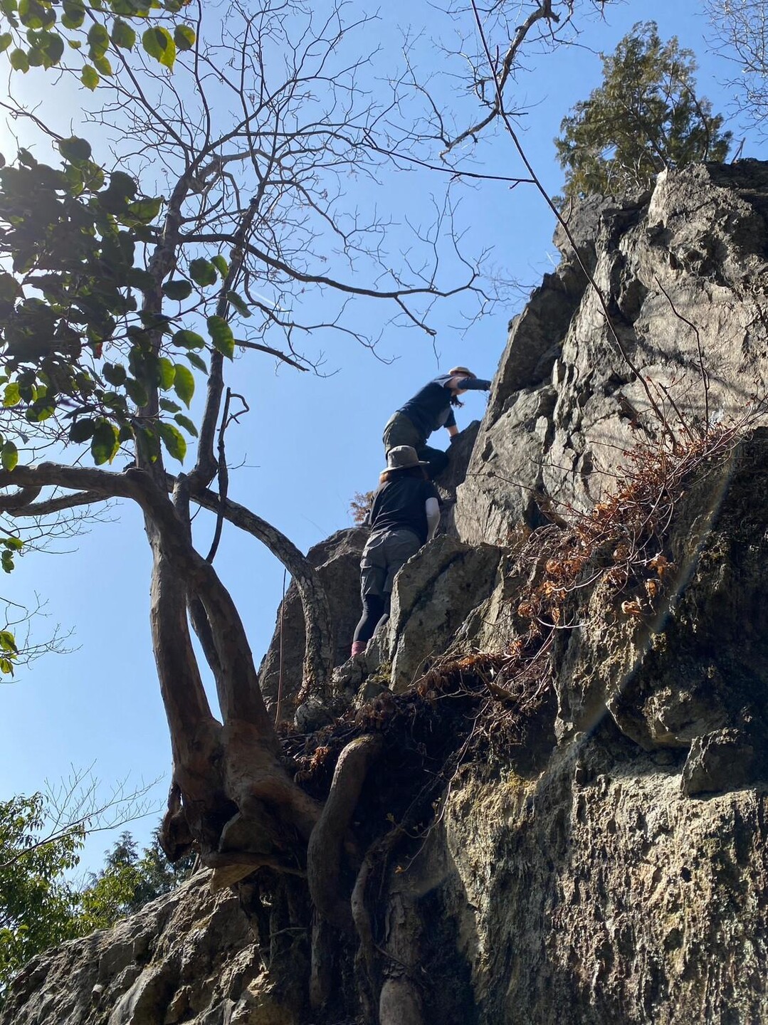 ピコ⛰️ / aoさんの雪彦山の活動日記 | YAMAP / ヤマップ
