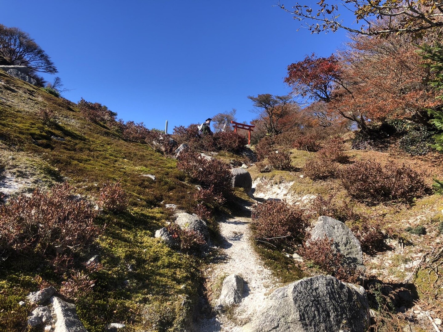 三池岳 / Nandoさんの釈迦ヶ岳の活動データ | YAMAP / ヤマップ