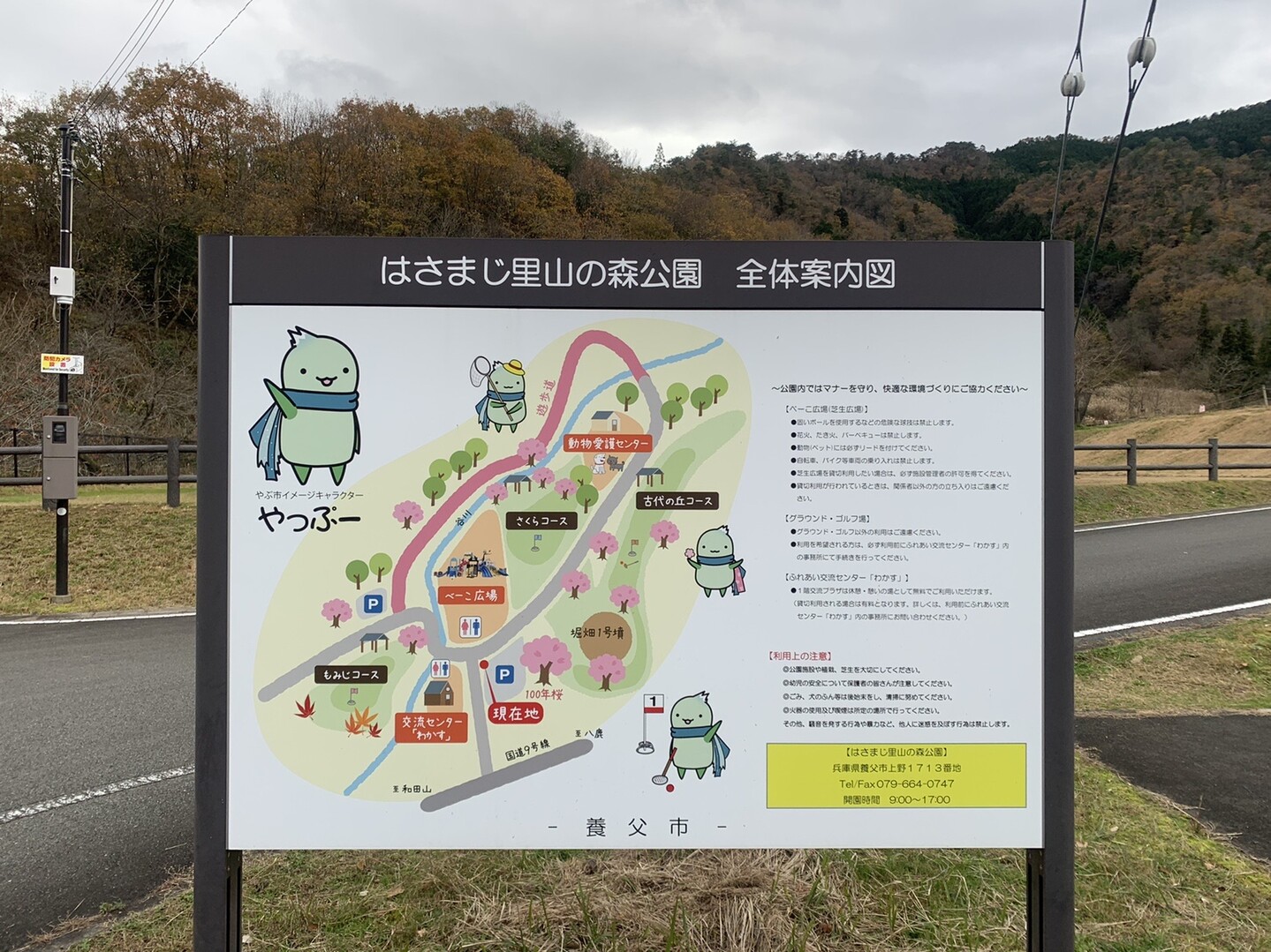 はざまじ里山の森公園 / kokiさんの但馬竹田・竹田城・朝来山の活動日記 | YAMAP / ヤマップ