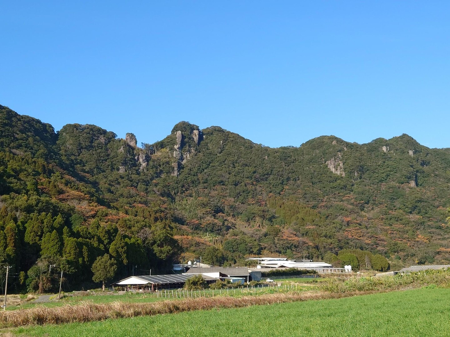 最強！最恐！低山鬼門平、登り初めが潜り初め🤣 / masaさんの鬼門平の活動データ | YAMAP / ヤマップ