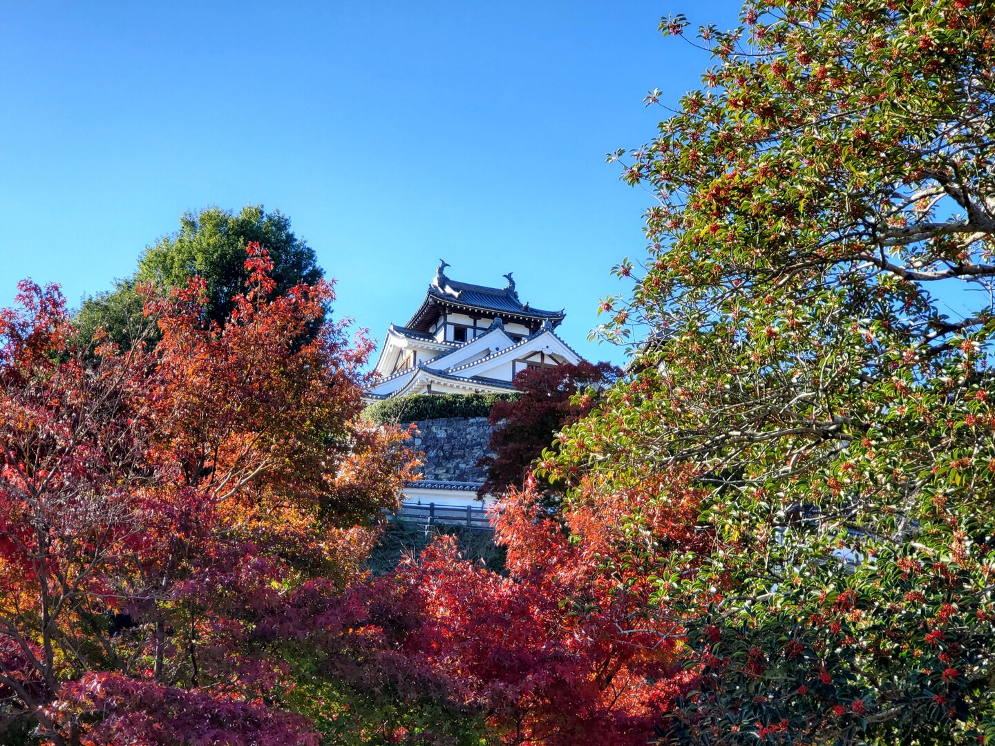 先の活動日記（https://yamap... / airiskochanさんのモーメント | YAMAP / ヤマップ