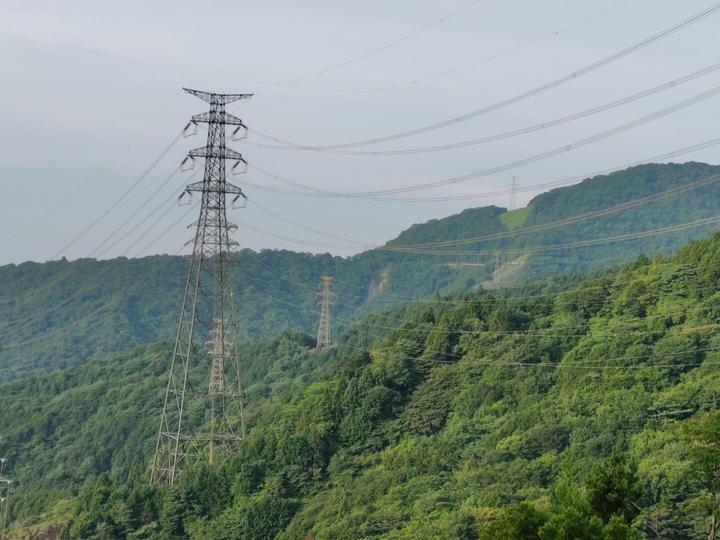 14.3km 丹沢西端 送電鉄塔巡視路巡り(2) 2024/6/20 / tamiさんの三国山の活動データ | YAMAP / ヤマップ