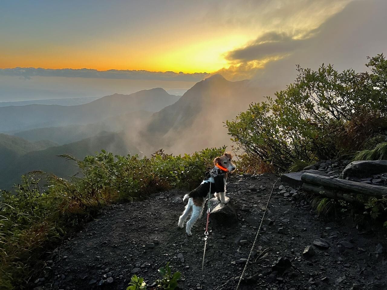 早朝の 大山（弥山） / masa omoさんの大山・甲ヶ山・野田ヶ山の活動データ | YAMAP / ヤマップ