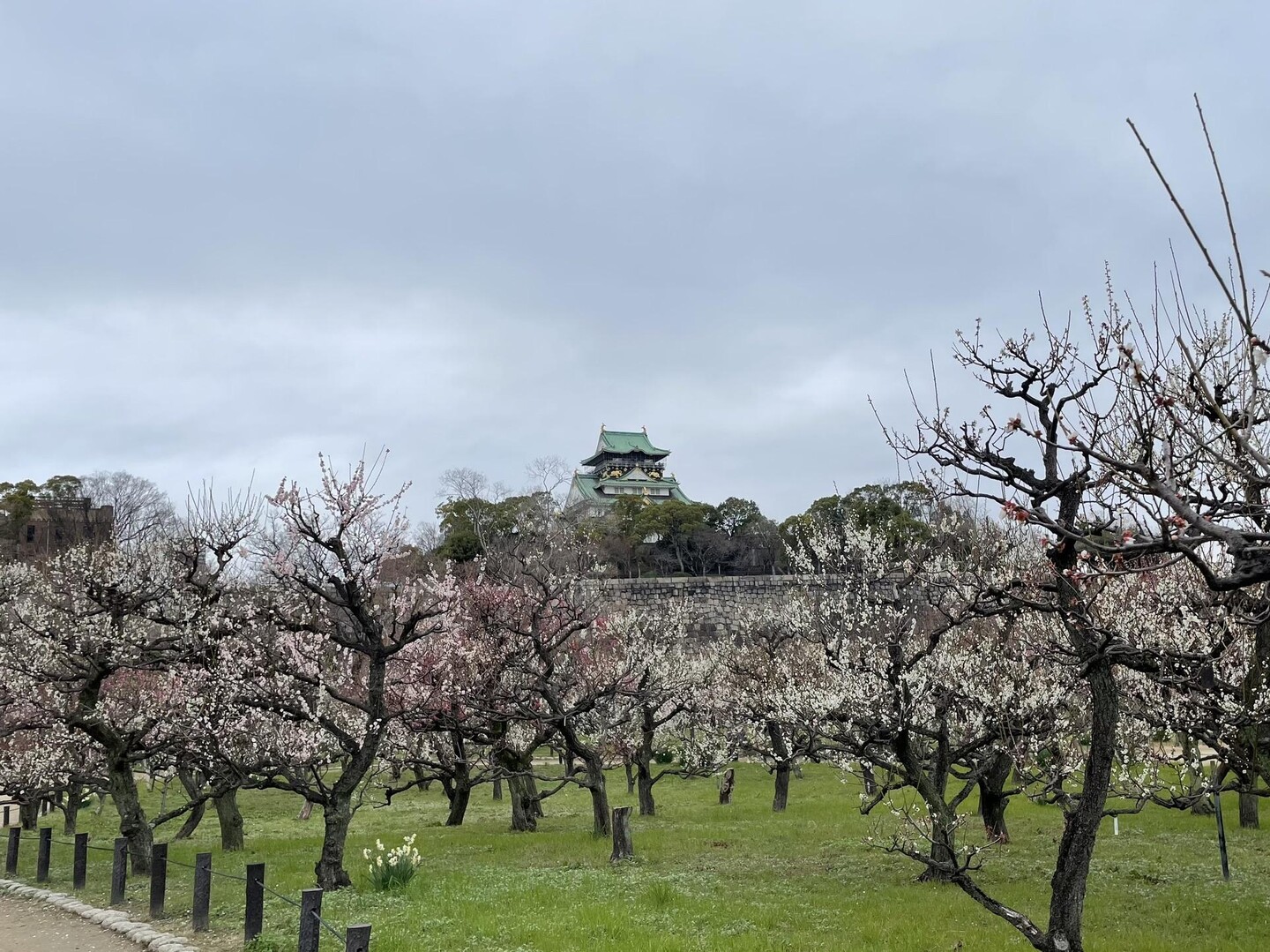 今日はお天気があやしそうだったので山は取... / Rinさんのモーメント | YAMAP / ヤマップ