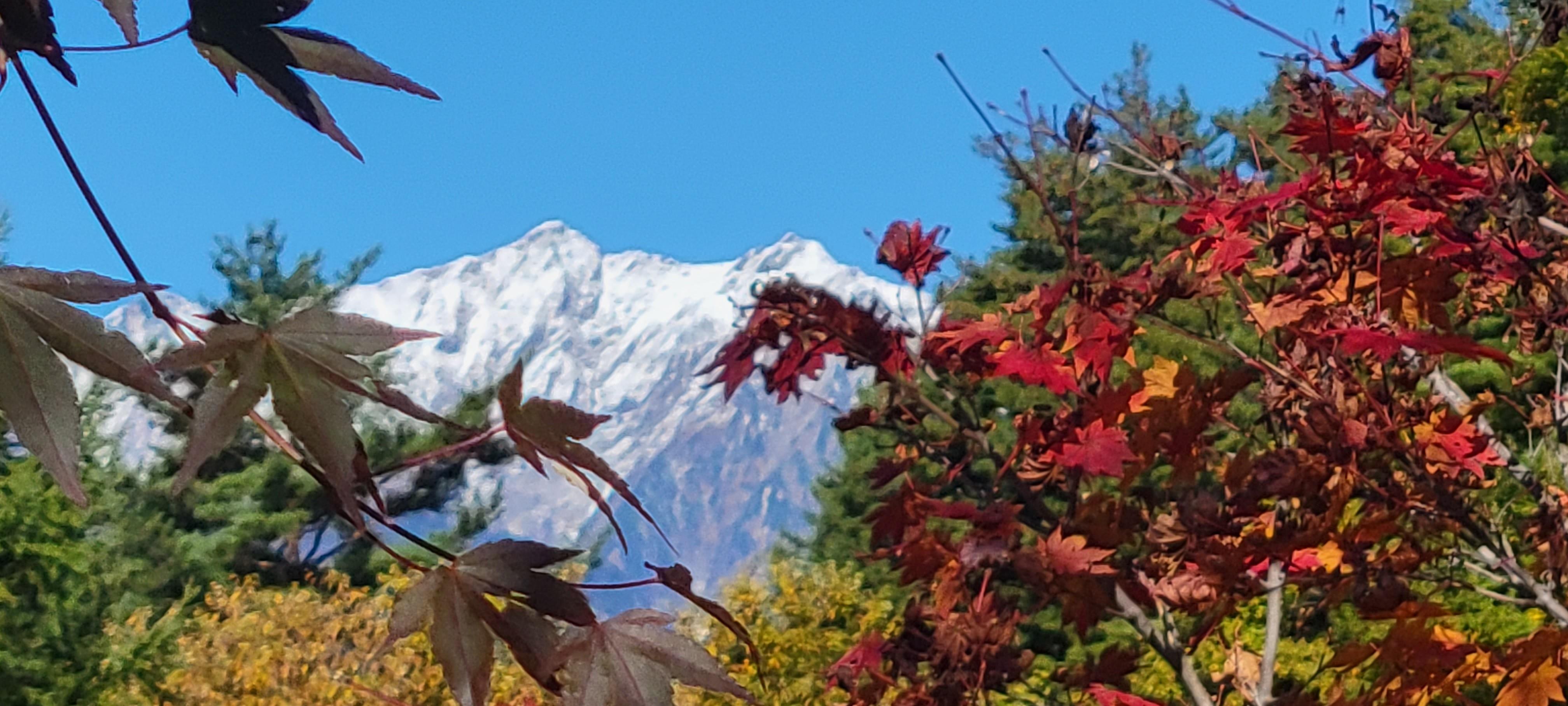快晴冷え冷えの朝でした。 山は雪。里は紅... / hirohiroさんのモーメント | YAMAP / ヤマップ