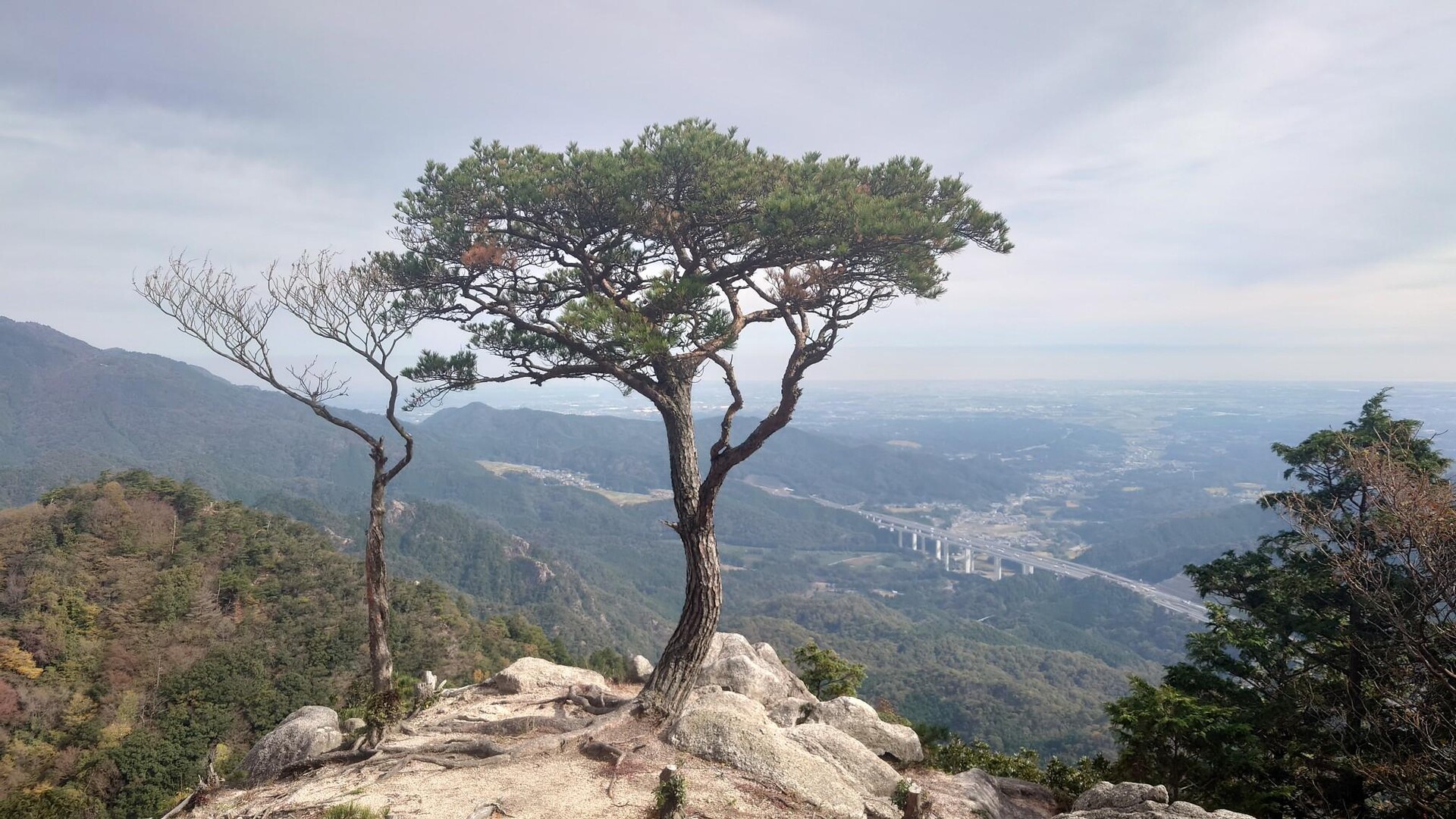 臼杵ヶ岳・臼杵山 / sakkoさんの高畑山・那須ヶ原山・油日岳の活動データ | YAMAP / ヤマップ