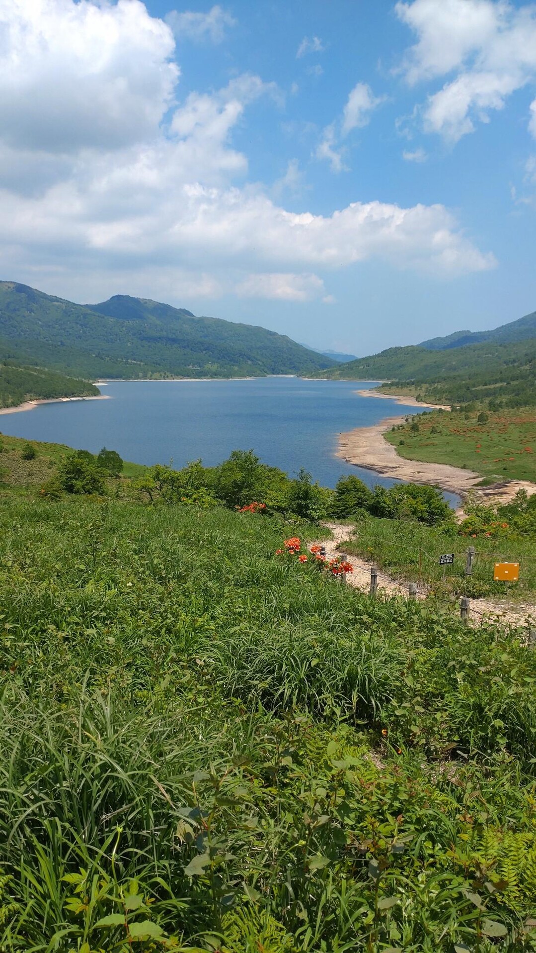 八間山 / Y-JJさんの高沢山・エビ山・大高山の活動データ | YAMAP / ヤマップ