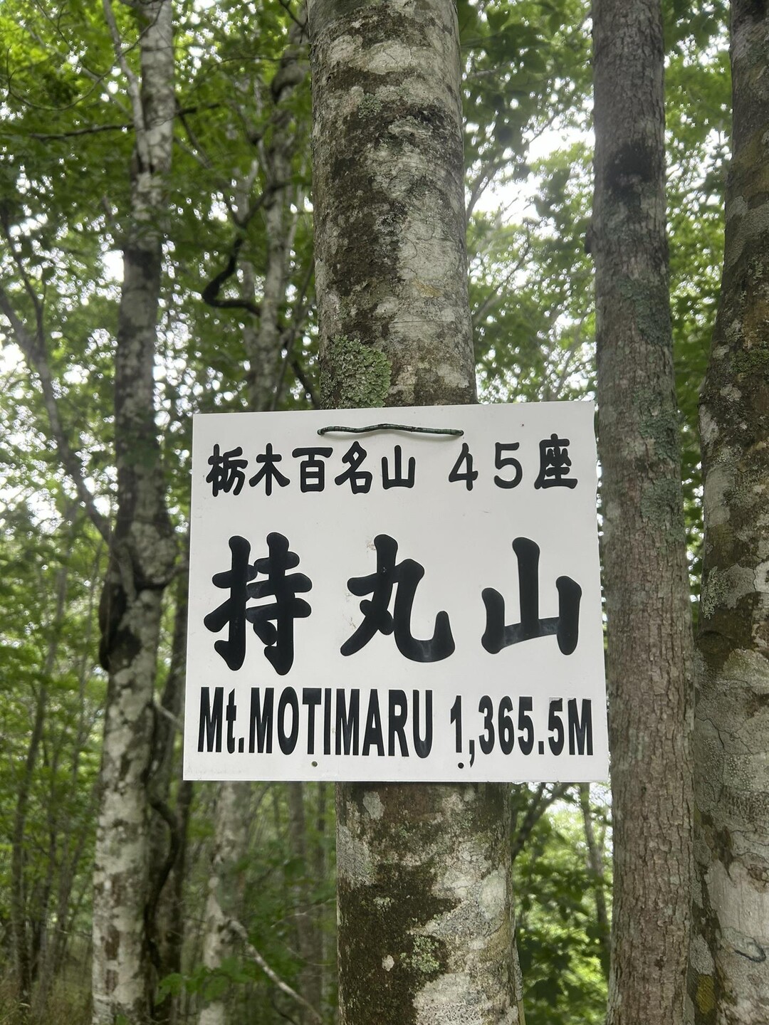 持丸山 / yuu39さんの持丸山・白倉山・高瀬山の活動日記 | YAMAP / ヤマップ