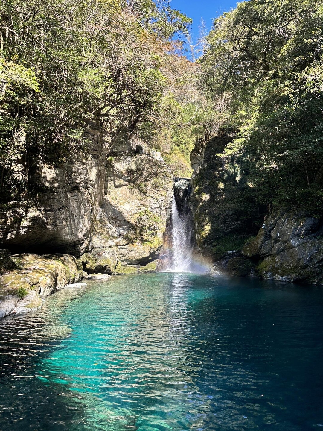 にこ淵🌈高知県立坂本龍馬記念館&牧野植物園へ 高知県初上陸 / ERlii*さんのウォーキングの活動データ | YAMAP / ヤマップ