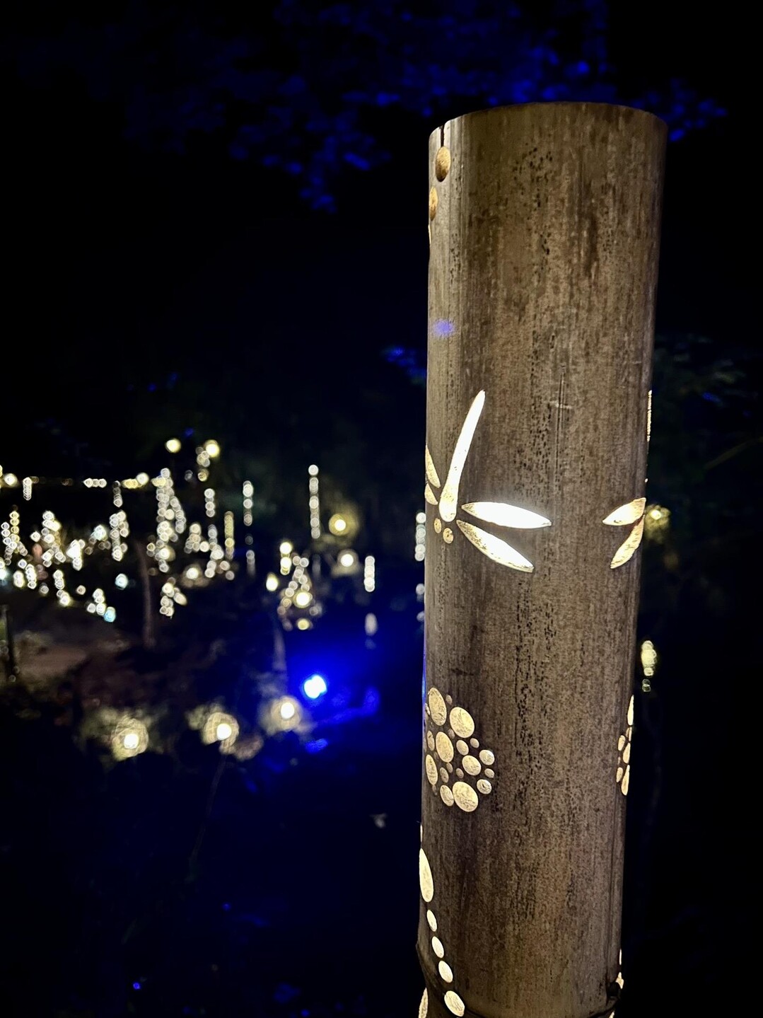 赤目48滝 幽玄の竹あかり / ムーさんさんの長坂山・赤目四十八滝の活動データ | YAMAP / ヤマップ