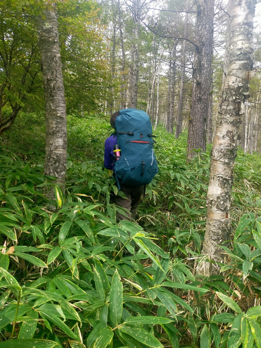 sugar marchさんの投稿したフィールドメモ | YAMAP / ヤマップ