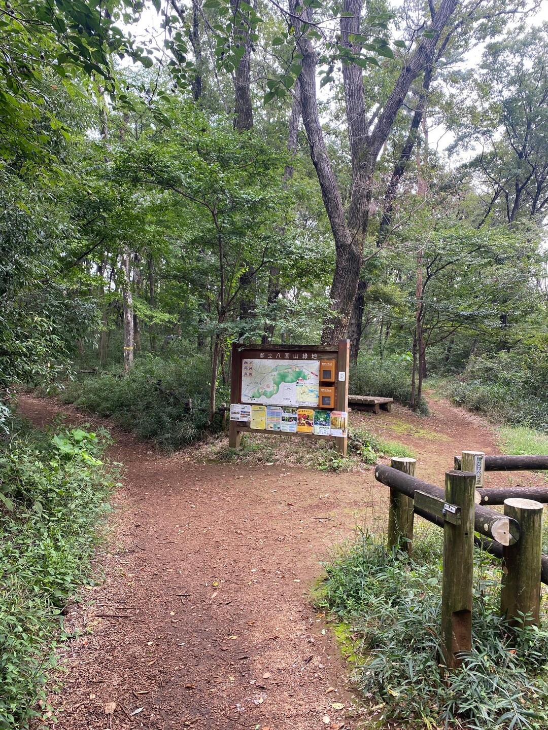 八国山 / OS@MUさんの所沢市の活動データ | YAMAP / ヤマップ