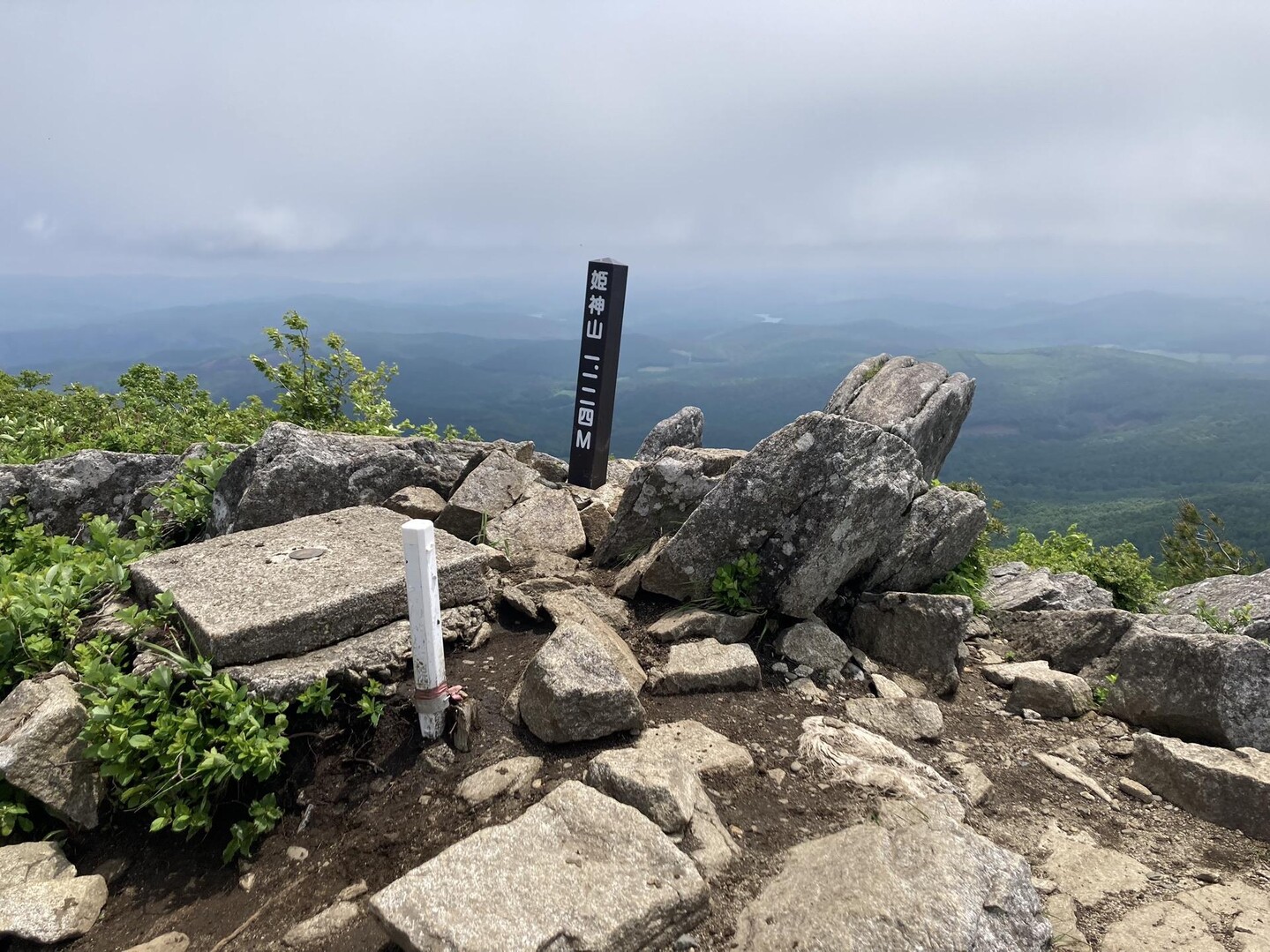 姫神山-2023-06-17 / Kiyoさんの姫神山の活動データ | YAMAP / ヤマップ