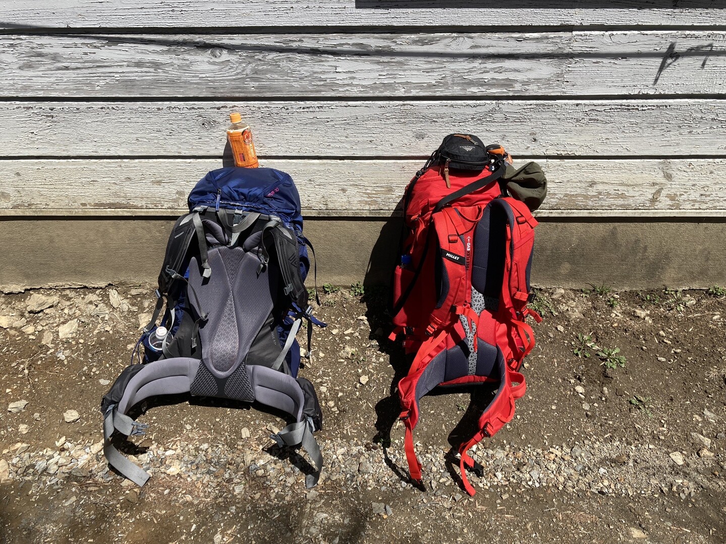 滝入ノ峰・横篶山・天目山(三ツドッケ) / Holovitzさんの雲取山・鷹ノ巣山・七ツ石山の活動データ | YAMAP / ヤマップ