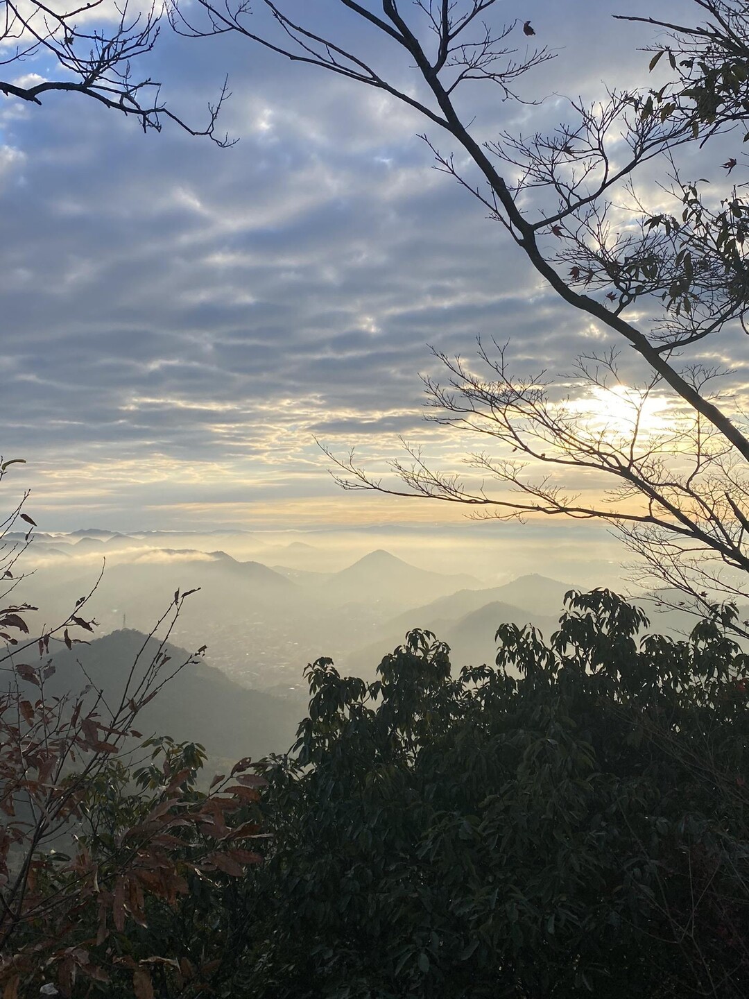 金華山GT チャレンジ 岩戸山・金華山・西山・舟伏山・岩田山 / hanaちゃんさんの金華山・洞山・舟伏山の活動データ | YAMAP / ヤマップ