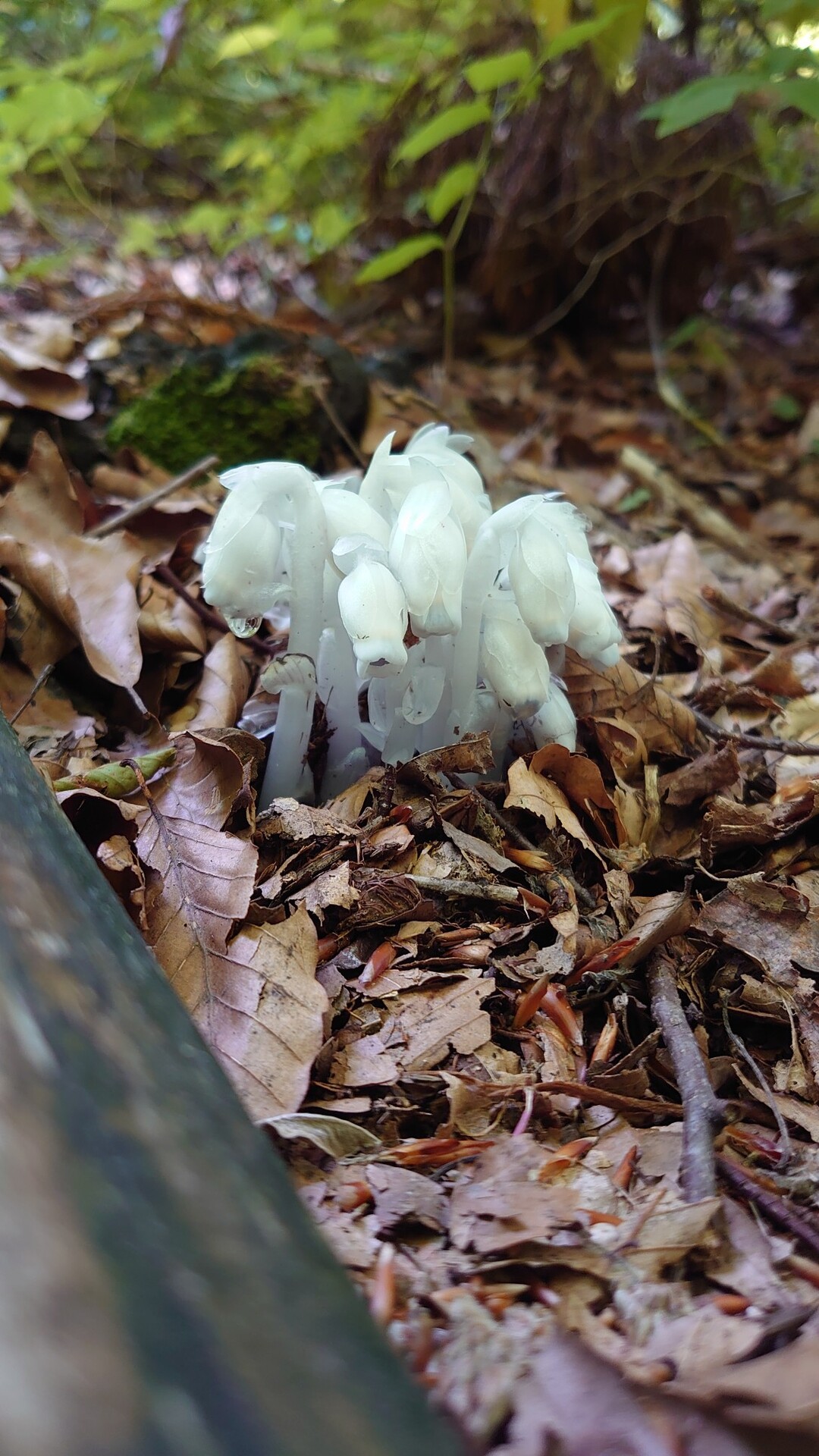 量産型エヴァに見えるのは私だけ？ / TaKさんのモーメント | YAMAP / ヤマップ