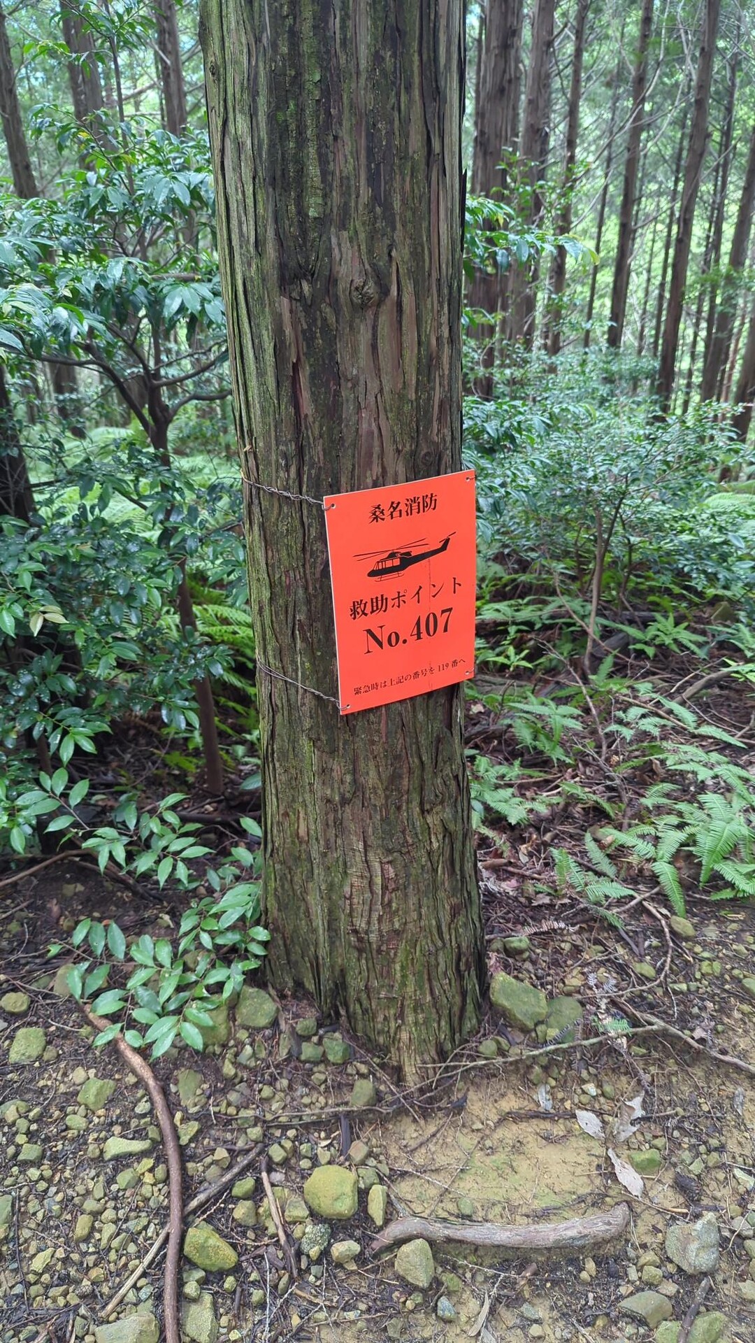 solaさんの投稿したフィールドメモ | YAMAP / ヤマップ