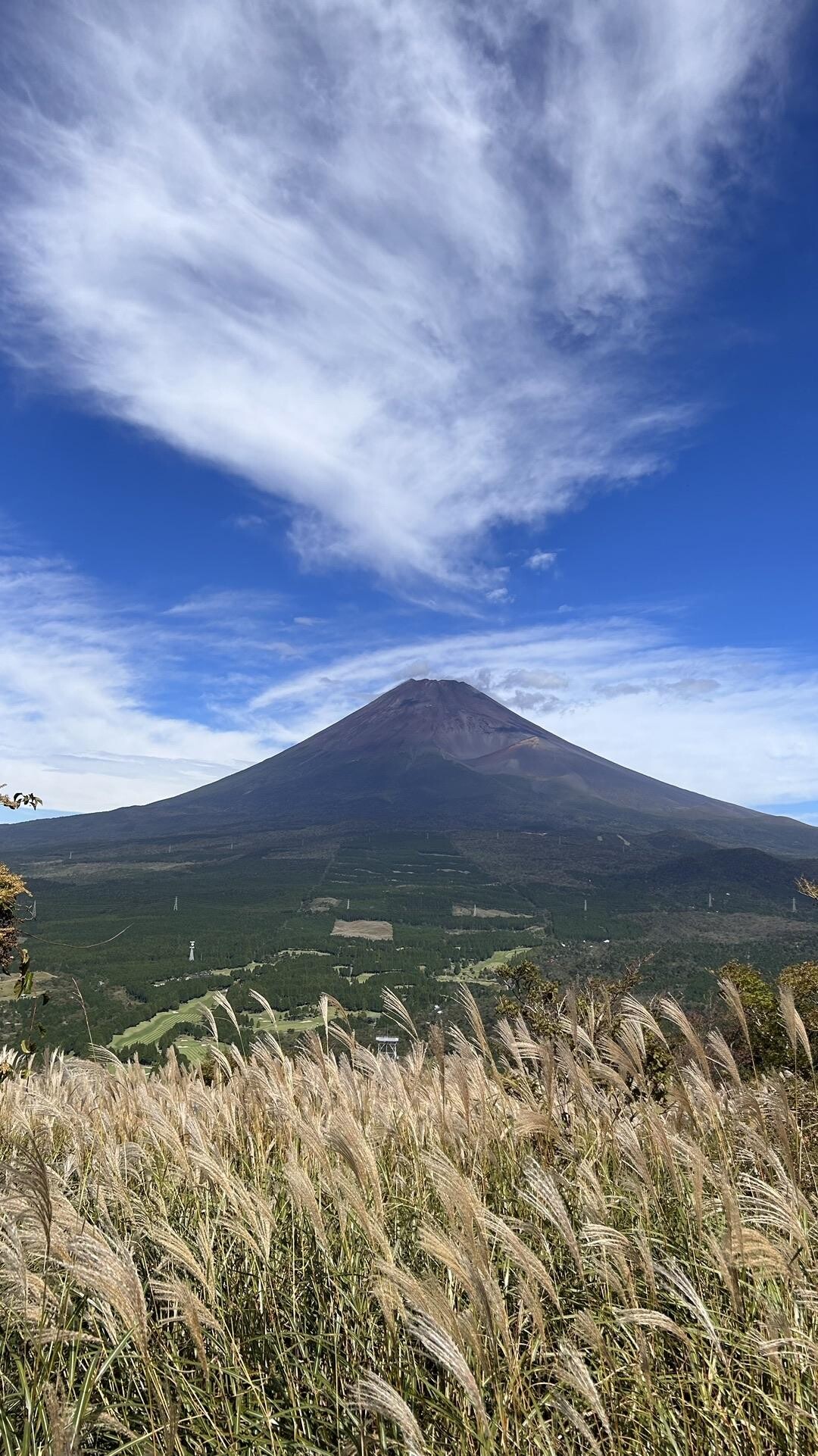 越前岳 / shiburinさんの愛鷹山・大岳・黒岳の活動データ | YAMAP / ヤマップ