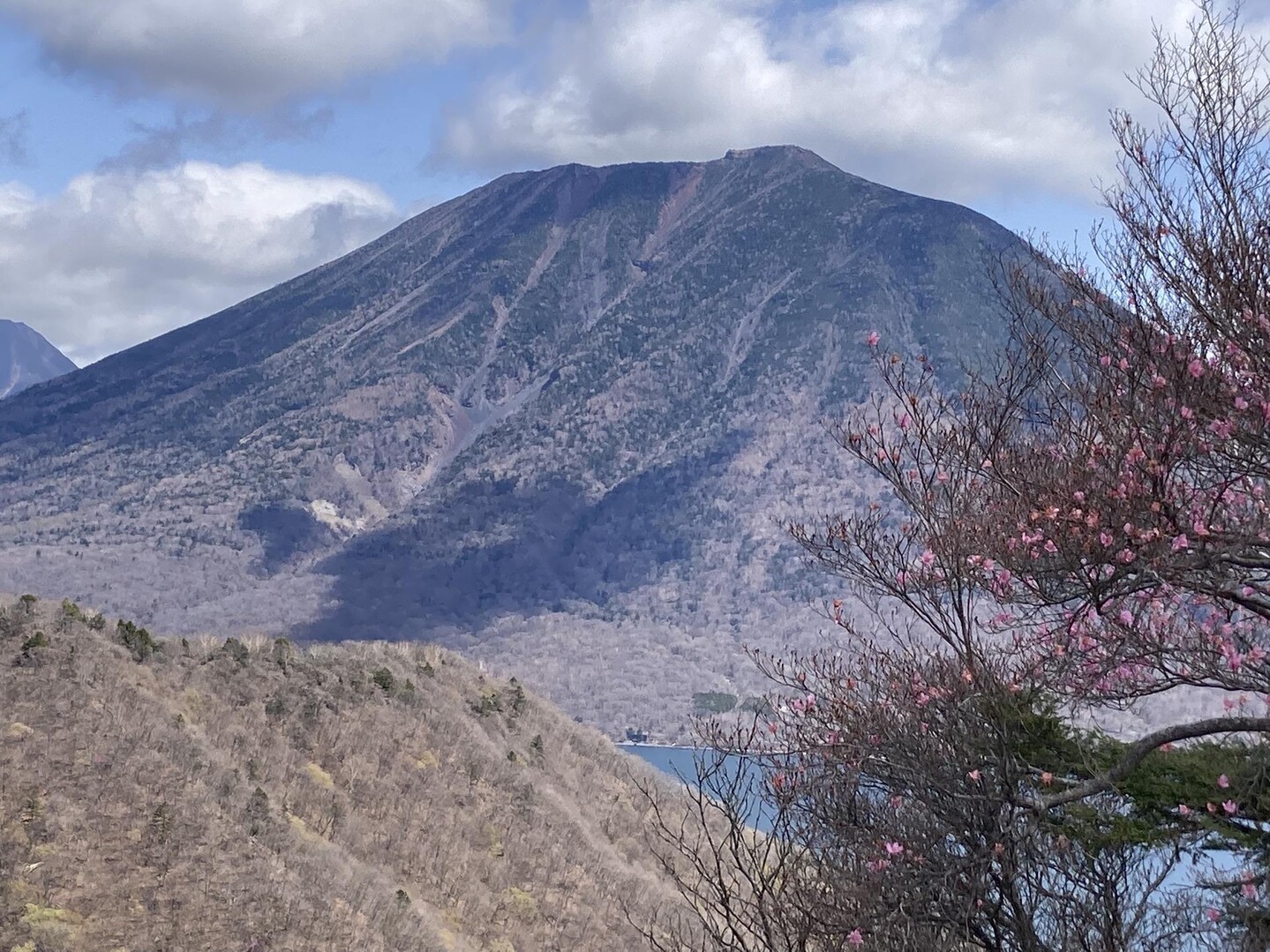 まだ少し寒いGWの社山 / Issaさんの社山・半月山の活動データ | YAMAP / ヤマップ