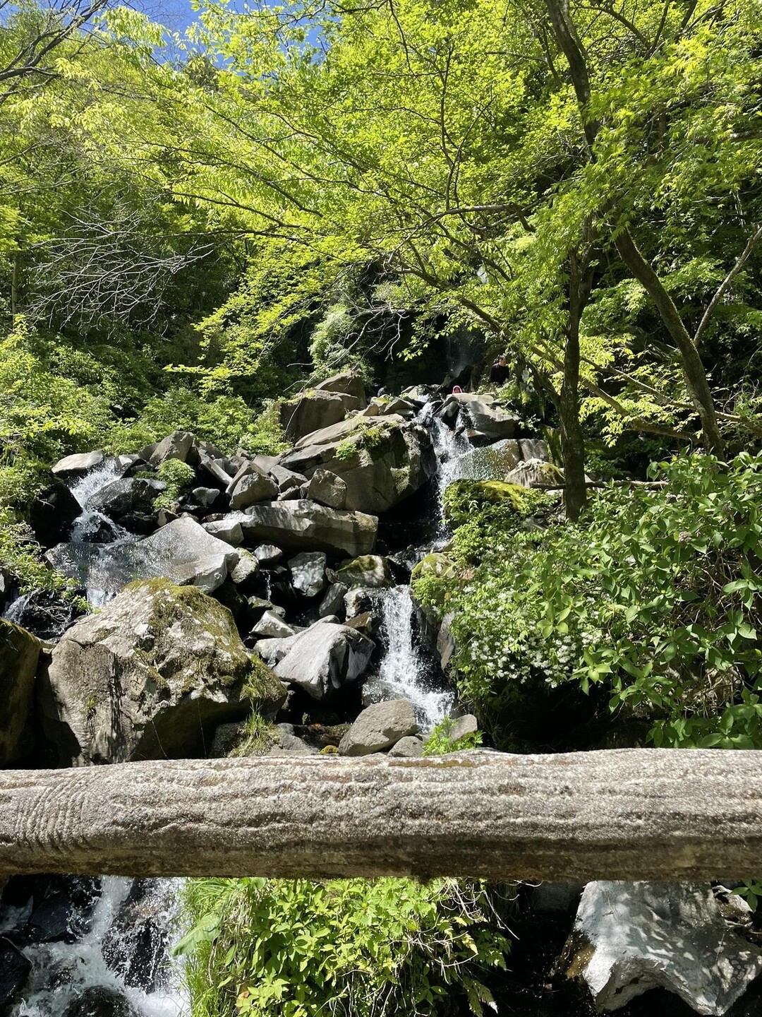 千条の滝〜浅間山・鷹巣山〜飛竜の滝〜甘酒茶屋 / Marukoさんの箱根山・神山の活動データ | YAMAP / ヤマップ