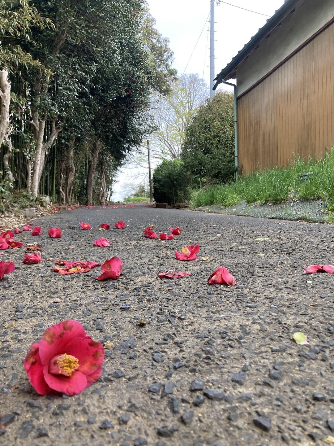 MCT名取〜塩釜セクション 七北田川渡渉 / かなかな0083さんのハイキングの活動データ | YAMAP / ヤマップ