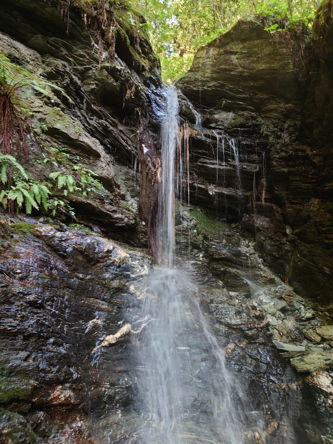 仕事終わりに涼を求めて養命の滝まで行って... / dewarsさんのモーメント | YAMAP / ヤマップ