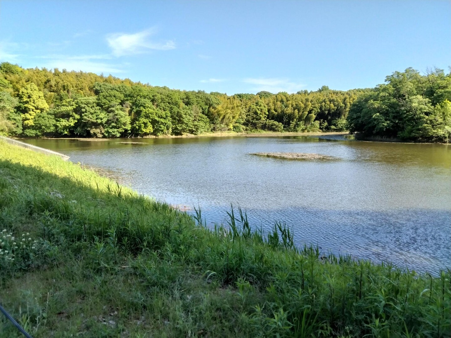 名古屋 2番目高い山 ハイキング / aichi ksさんの根岳・親鸞山の活動データ | YAMAP / ヤマップ