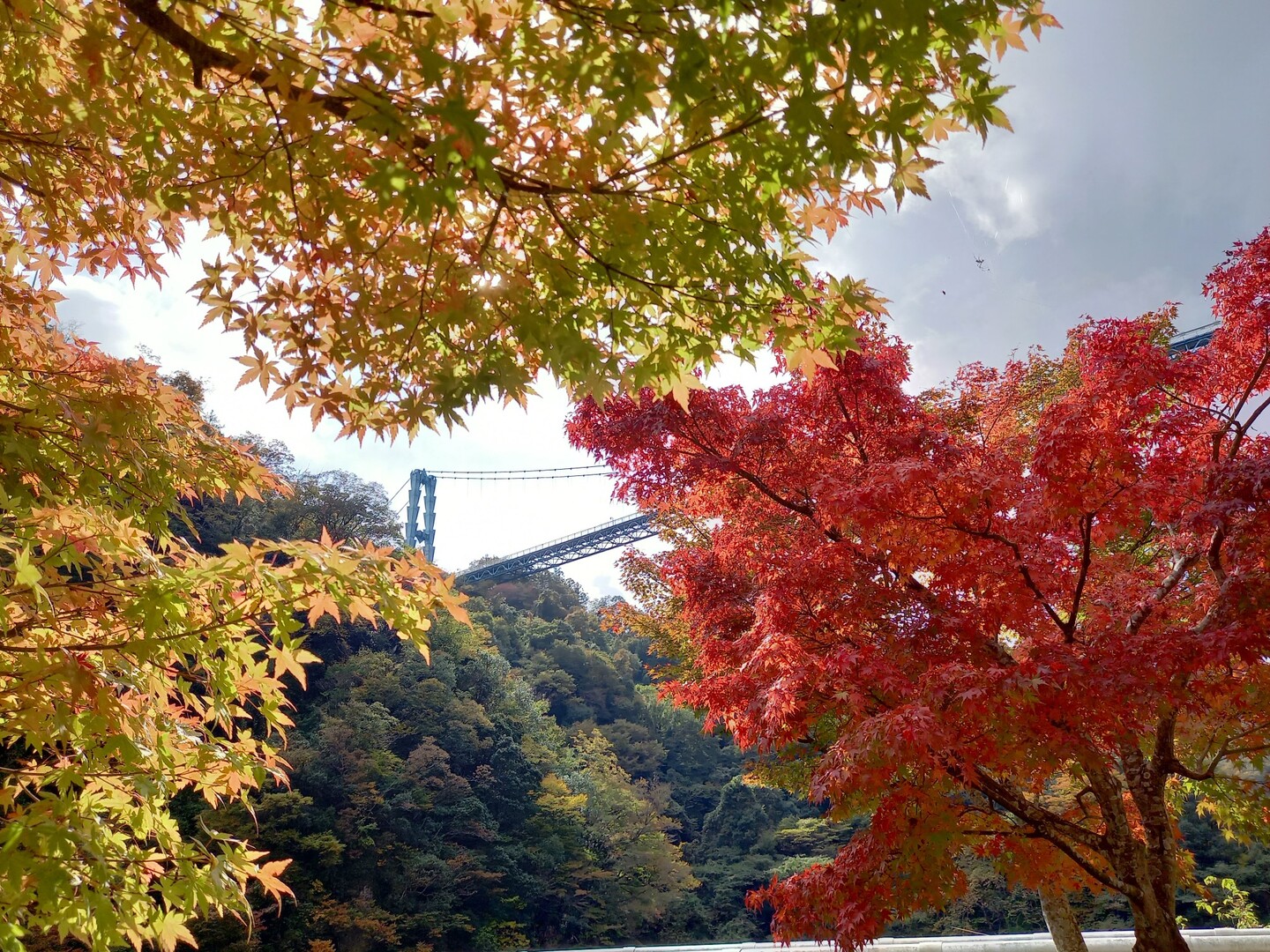今日は竜神峡ハイキング カヌーやバンジ... / misaさんのモーメント | YAMAP / ヤマップ
