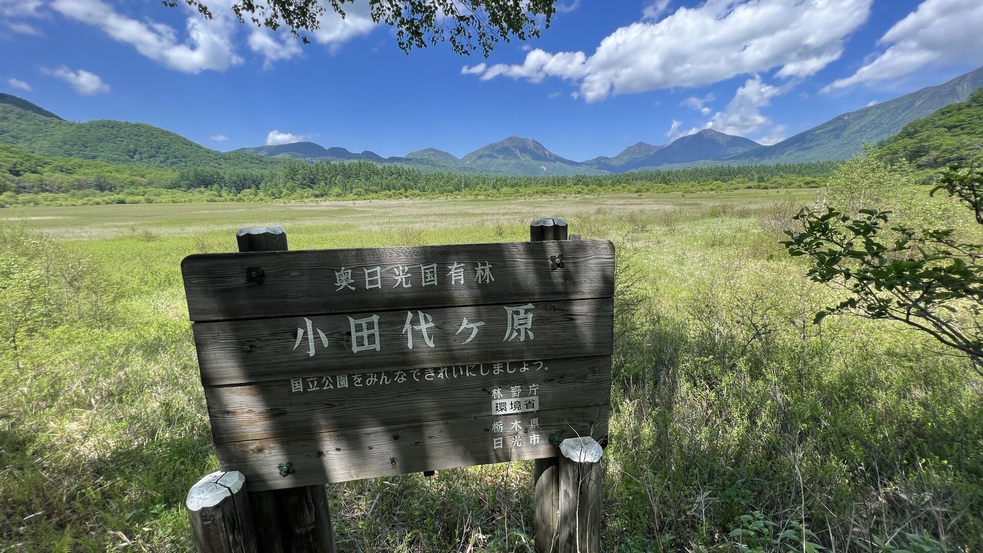 高山〜小田代原〜戦場ヶ原 / Tamiyoさんの日光白根山・五色山・錫ヶ岳の活動データ | YAMAP / ヤマップ