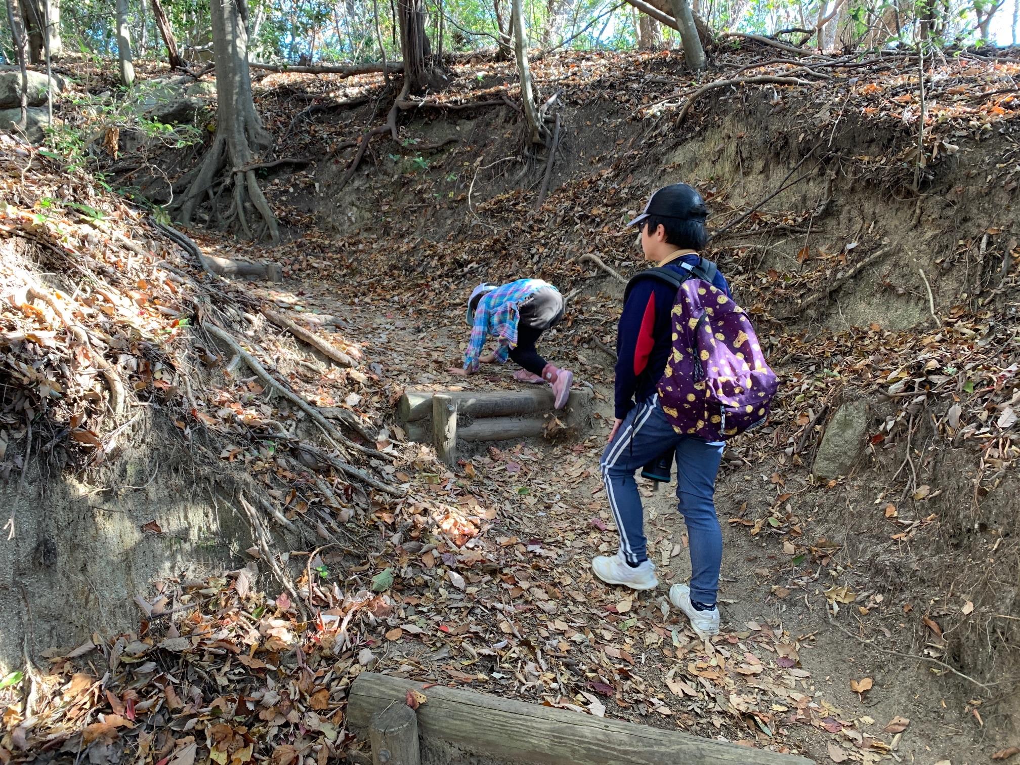 極楽寺山with children / katomicさんの極楽寺山の活動データ | YAMAP / ヤマップ