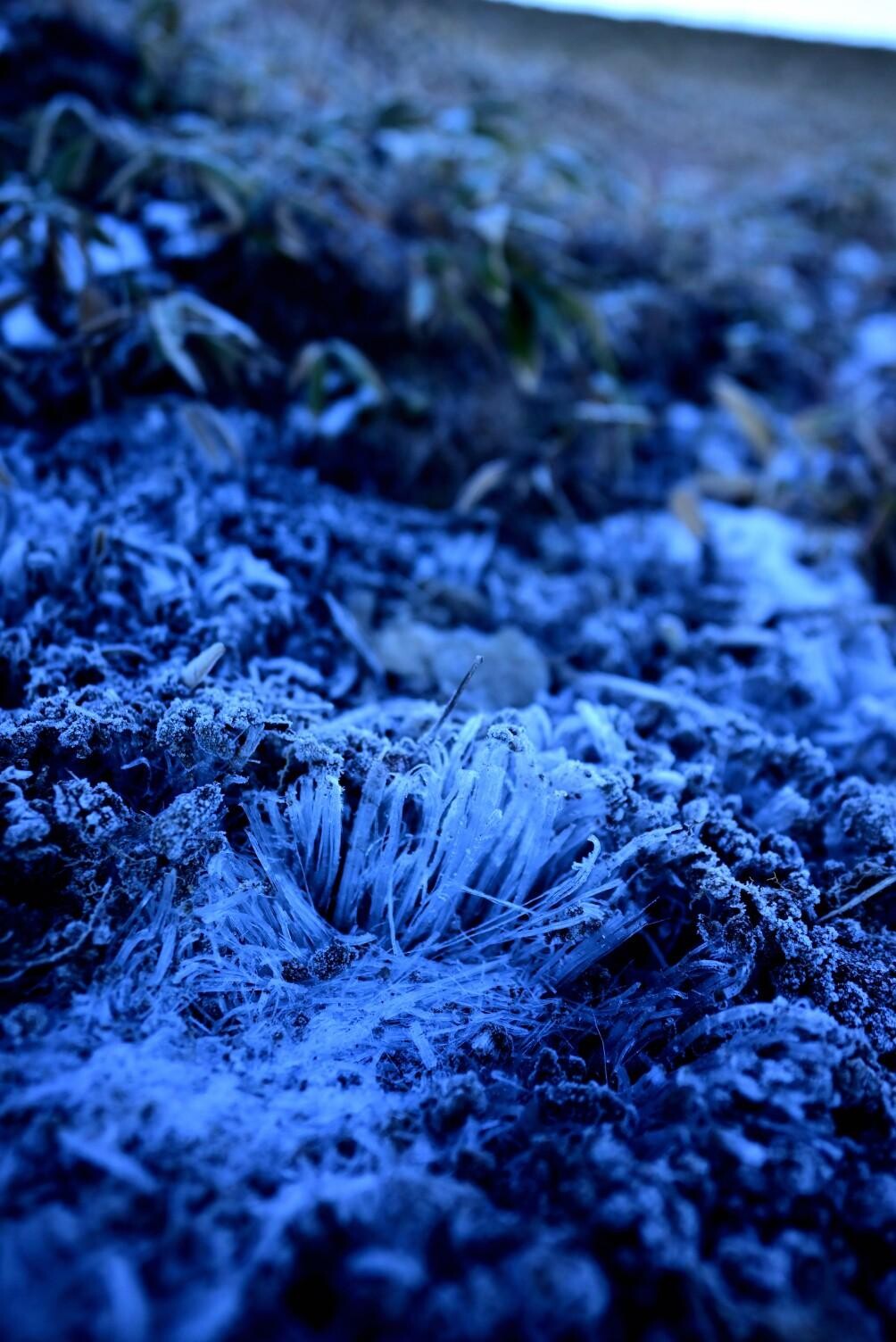 霧ヶ峰（車山） / yudaiさんの車山 マウンテンドクター巡礼マップの活動データ | YAMAP / ヤマップ