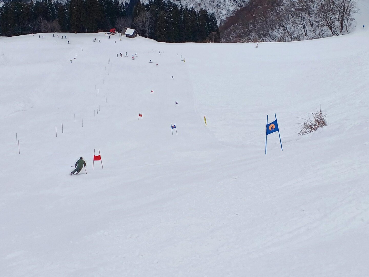 初ポール練習、セイモアスキー場です1年ぶ... / hanabuさんのモーメント | YAMAP / ヤマップ