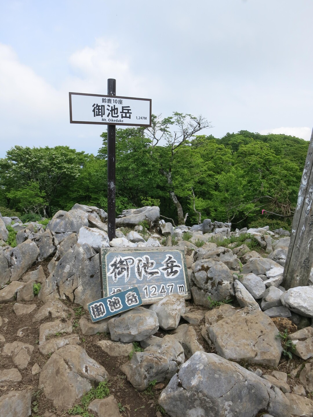 春シーズン最後の鈴鹿山脈_御池岳・鈴北岳_20230527 / nabeさんの藤原岳・御池岳の活動データ | YAMAP / ヤマップ