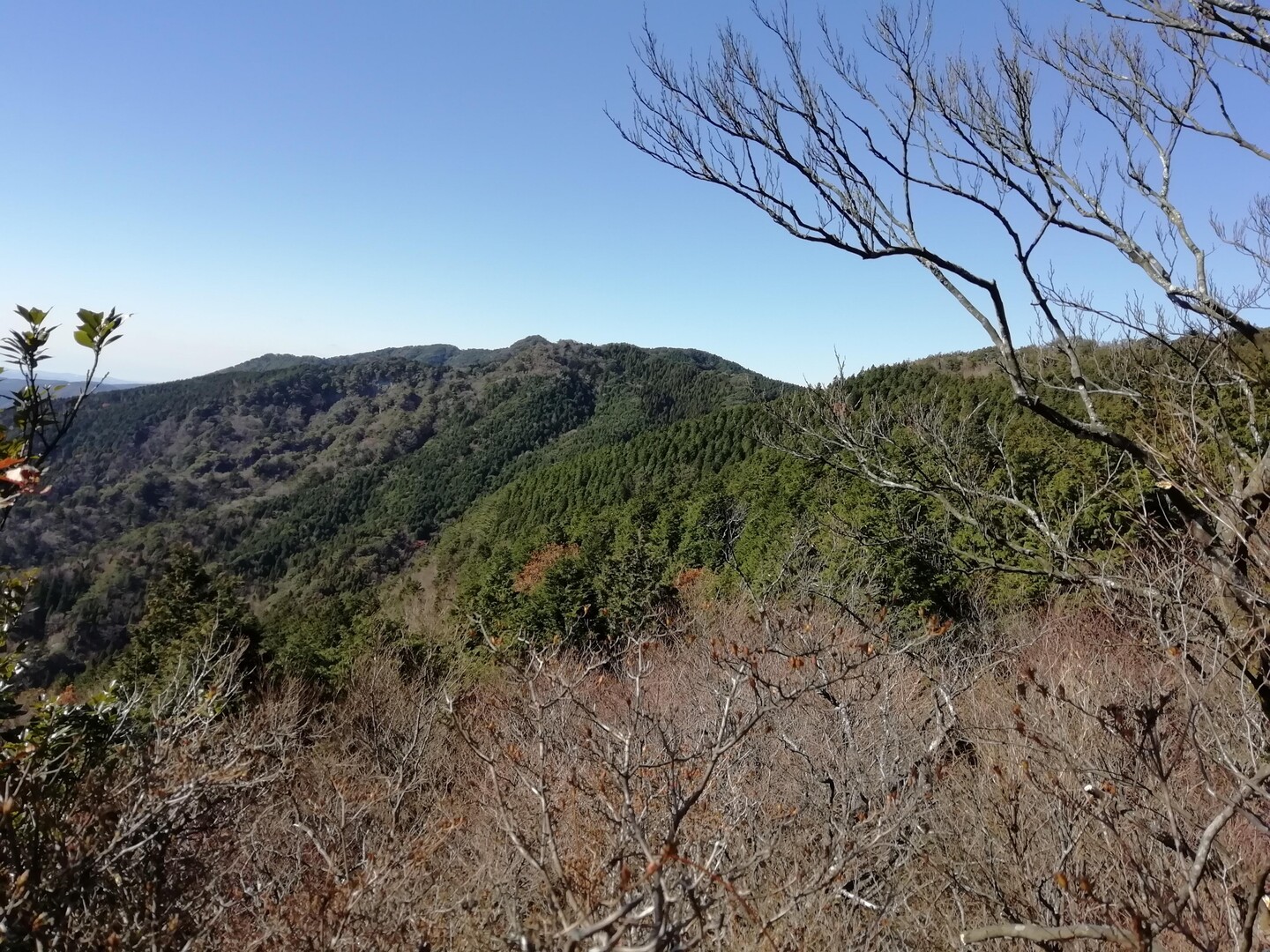 三国山・国見山 / enoさんの八方ヶ岳の活動日記 | YAMAP / ヤマップ