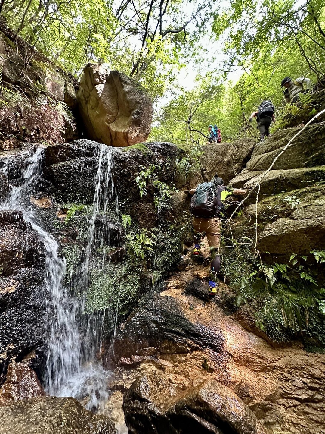 六甲山満喫コース / komariさんの六甲山・長峰山・摩耶山の活動データ | YAMAP / ヤマップ