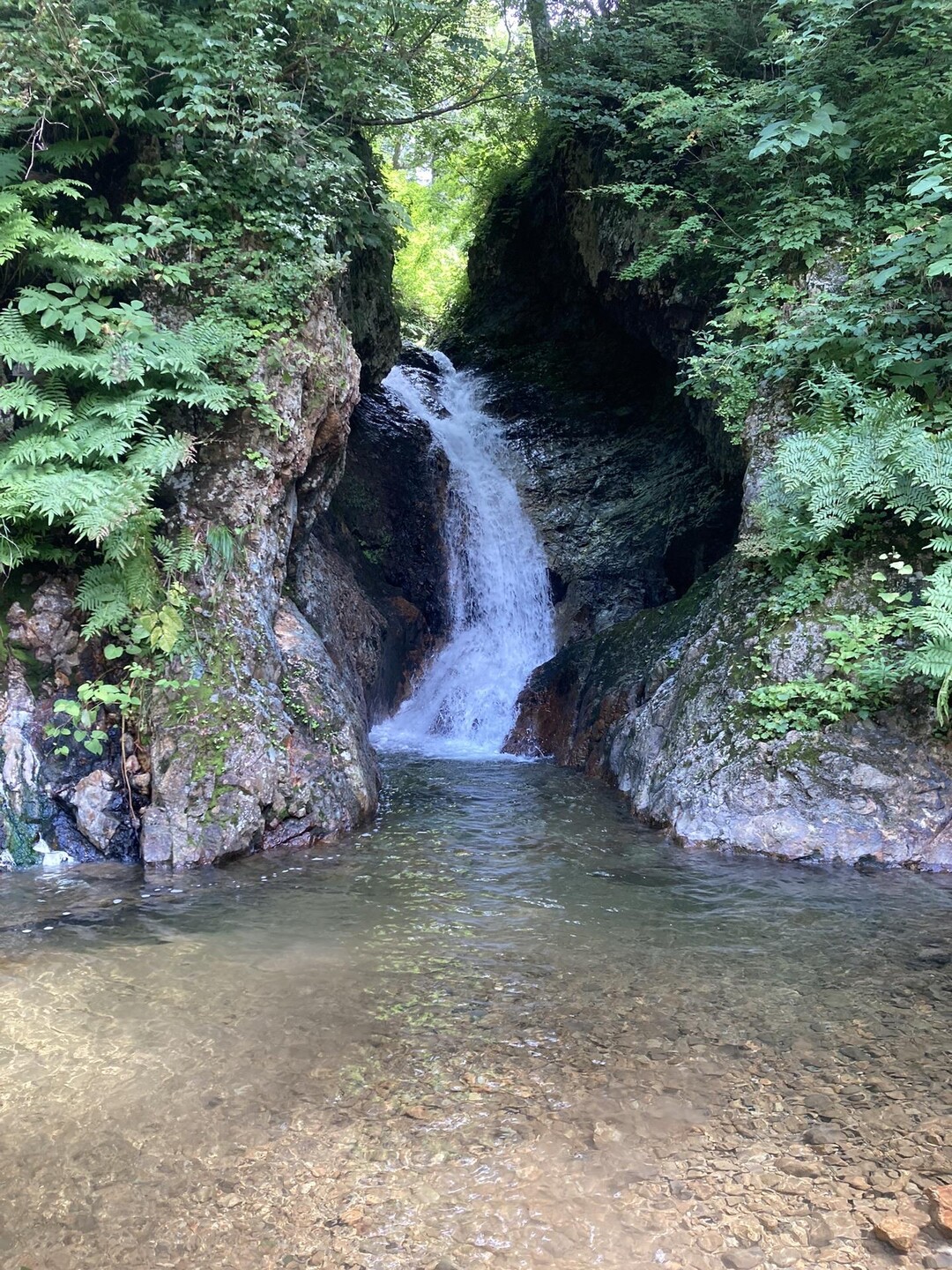 夏油川 枯松沢 遡行 / shimi-kenさんの焼石岳・兎森山・鷲ヶ森山の活動データ | YAMAP / ヤマップ
