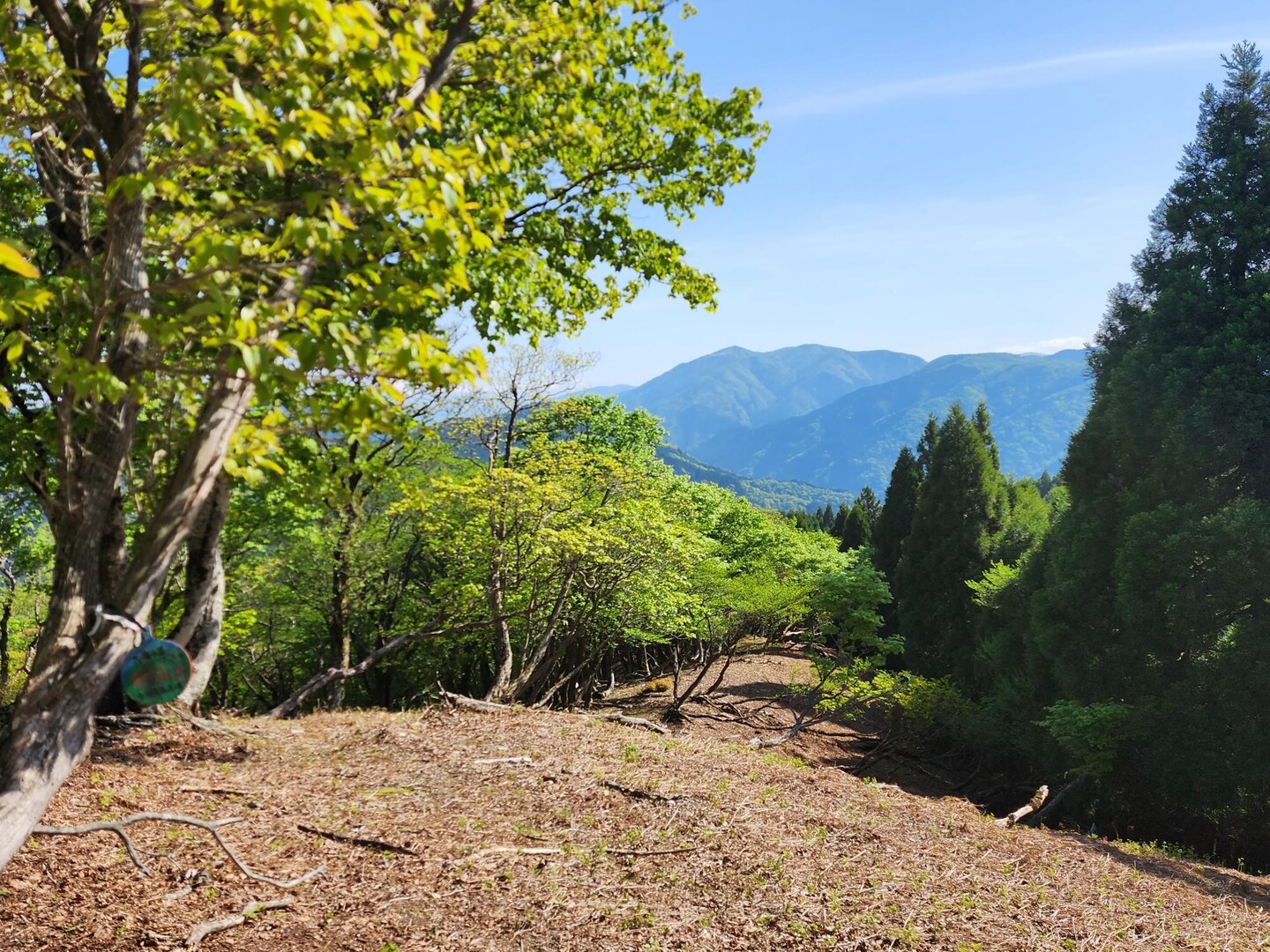 そうだ、京都に行こう / Kombatさんの皆子山の活動データ | YAMAP / ヤマップ