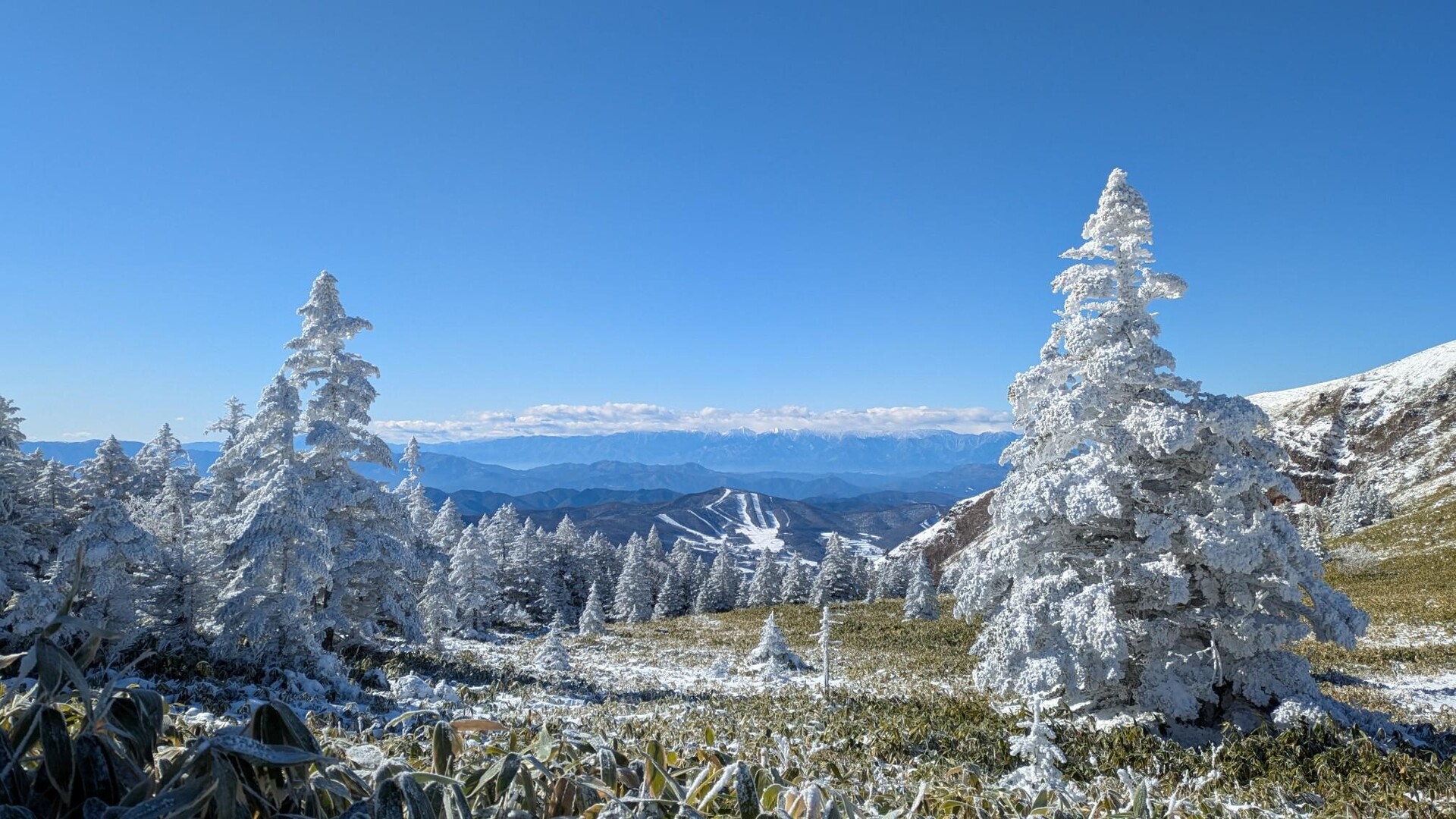 根子岳・四阿山・中四阿・小四阿🏔️ / AKIさんの四阿山・根子岳の活動日記 | YAMAP / ヤマップ